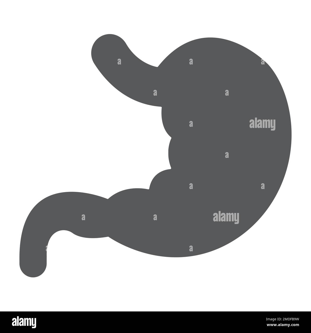 Stomach glyph icon, anatomy and biology, human organ sign, vector ...