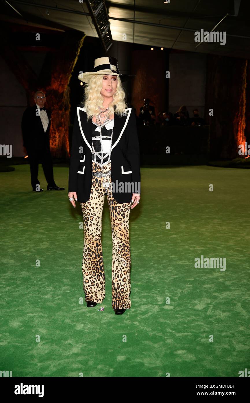 Cher seen at the Academy Museum of Motion Pictures Opening Gala at the ...