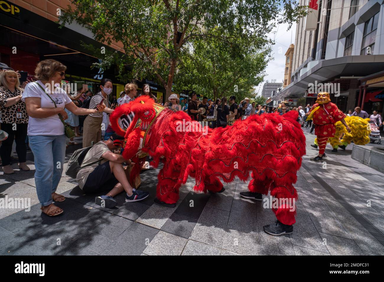Adelaide, Australia. 23 January 2023 Lion dancers perform in front of ...