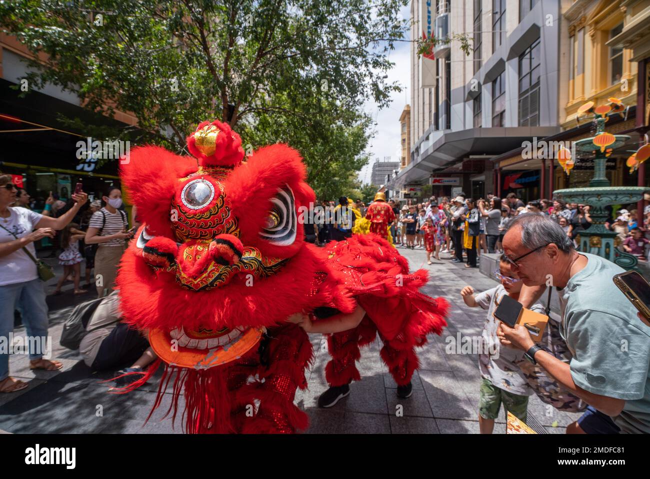 Adelaide, Australia. 23 January 2023 Lion dancers perform in front of ...