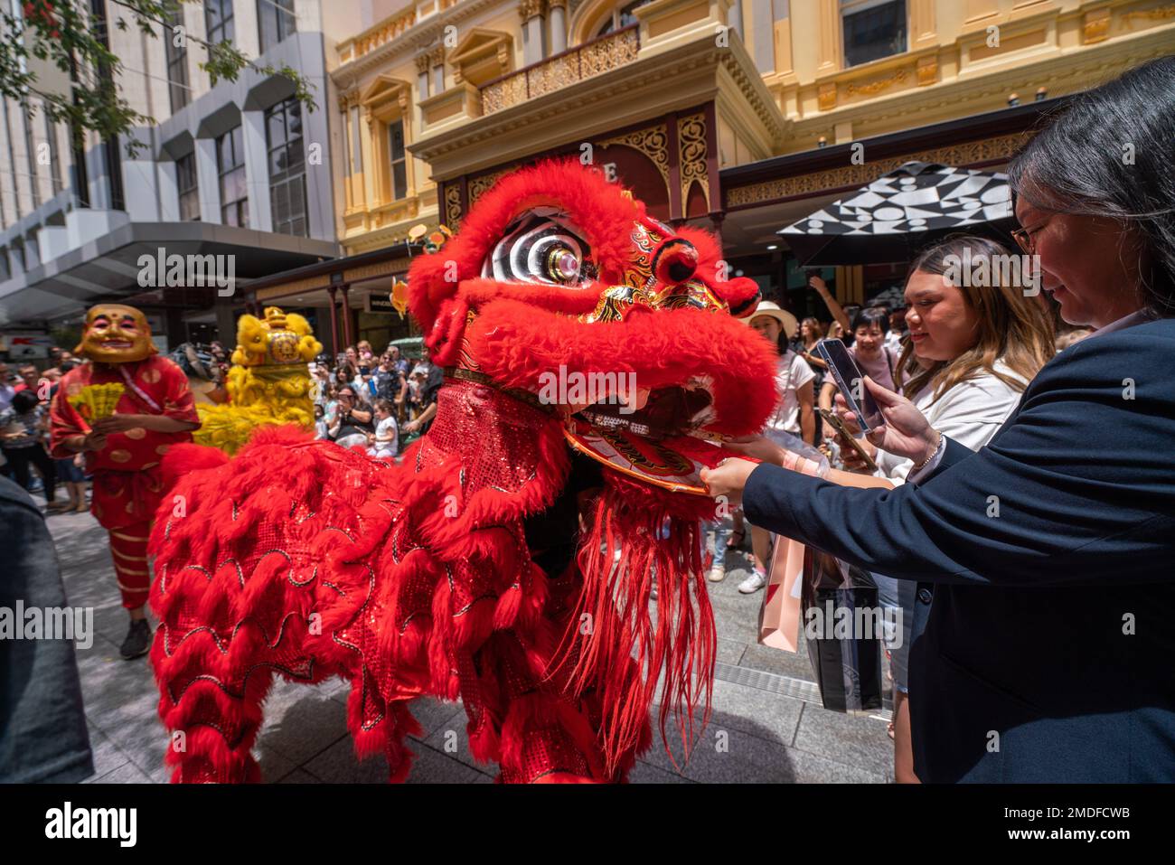 Adelaide, Australia. 23 January 2023 Lion dancers perform in front of ...