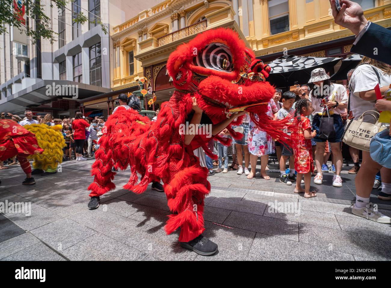 Adelaide, Australia. 23 January 2023 Lion dancers perform in front of ...