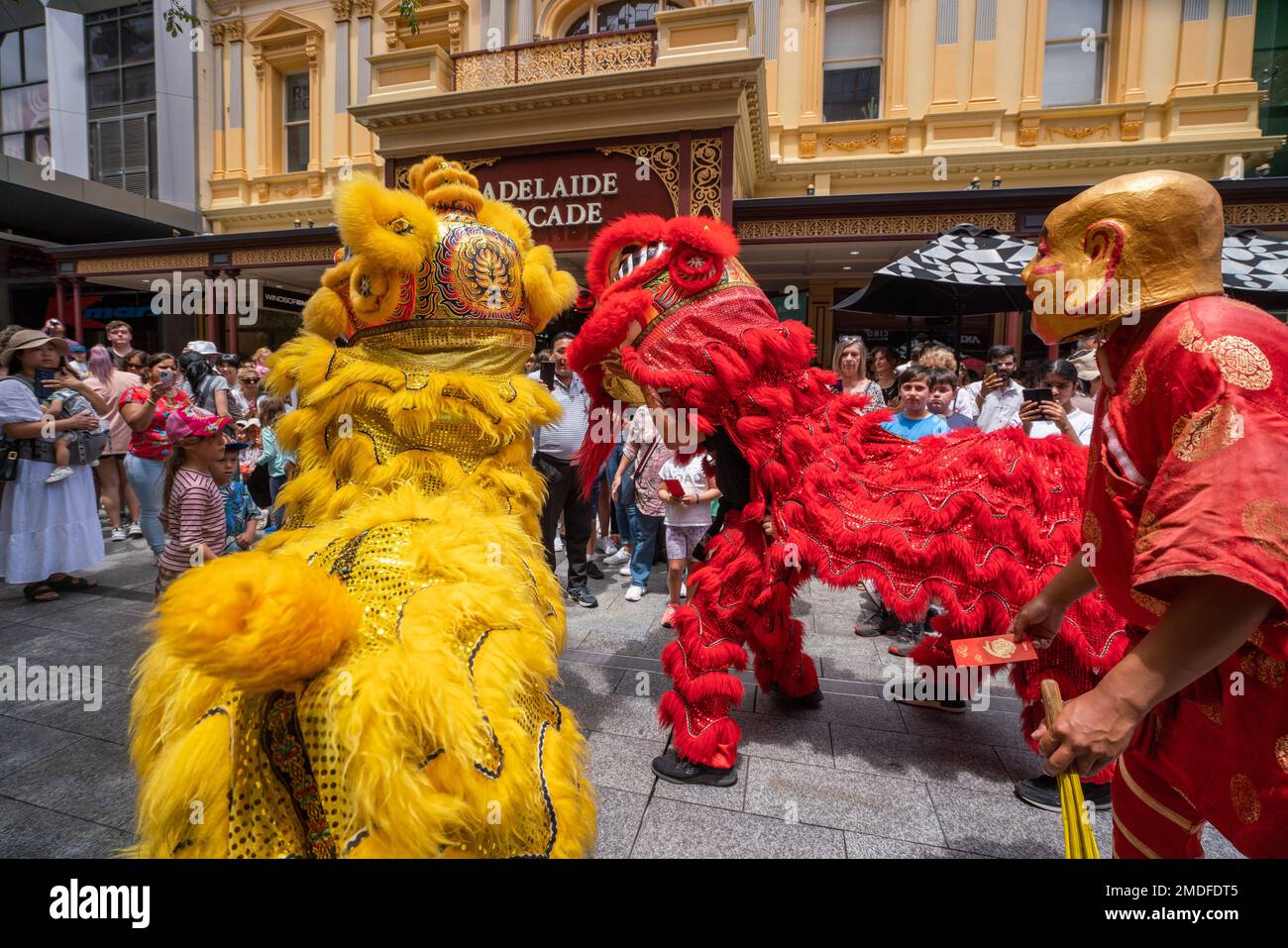 Adelaide, Australia. 23 January 2023 Lion dancers perform in front of ...