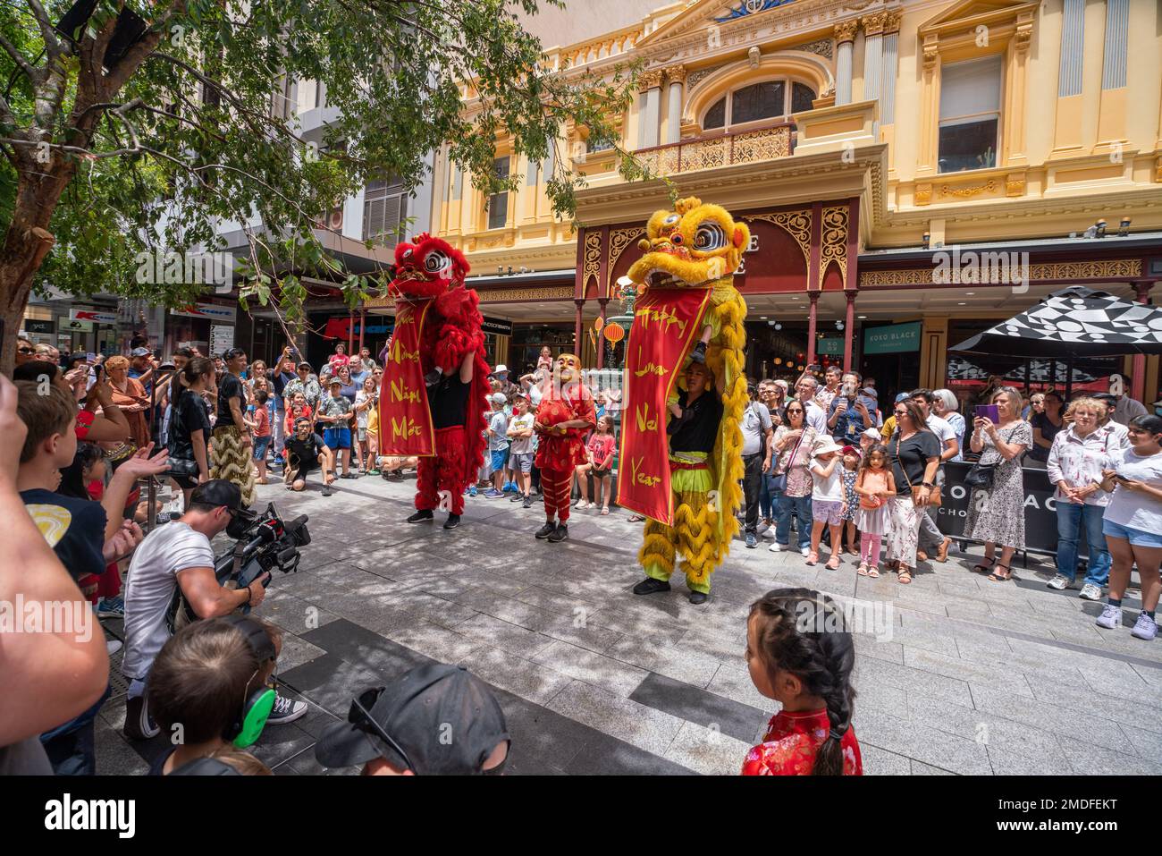 Adelaide, Australia. 23 January 2023 Lion dancers perform in front of ...