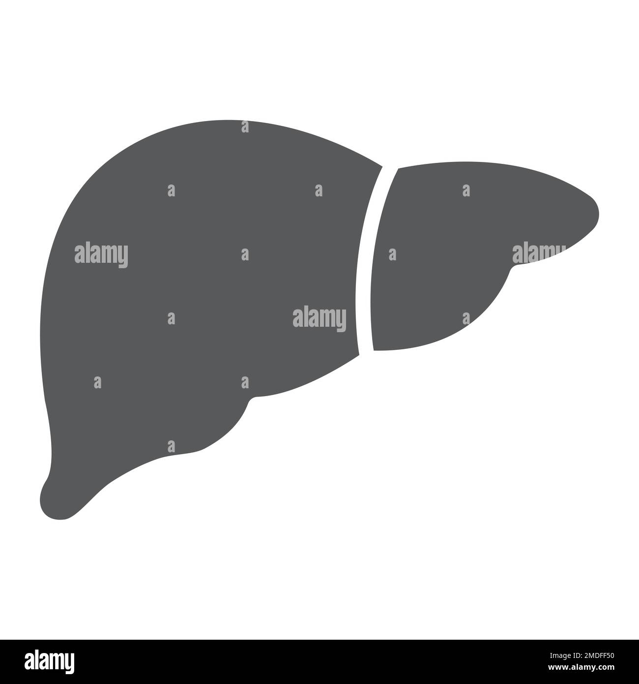 Liver glyph icon, anatomy and biology, hepatology sign, vector graphics ...