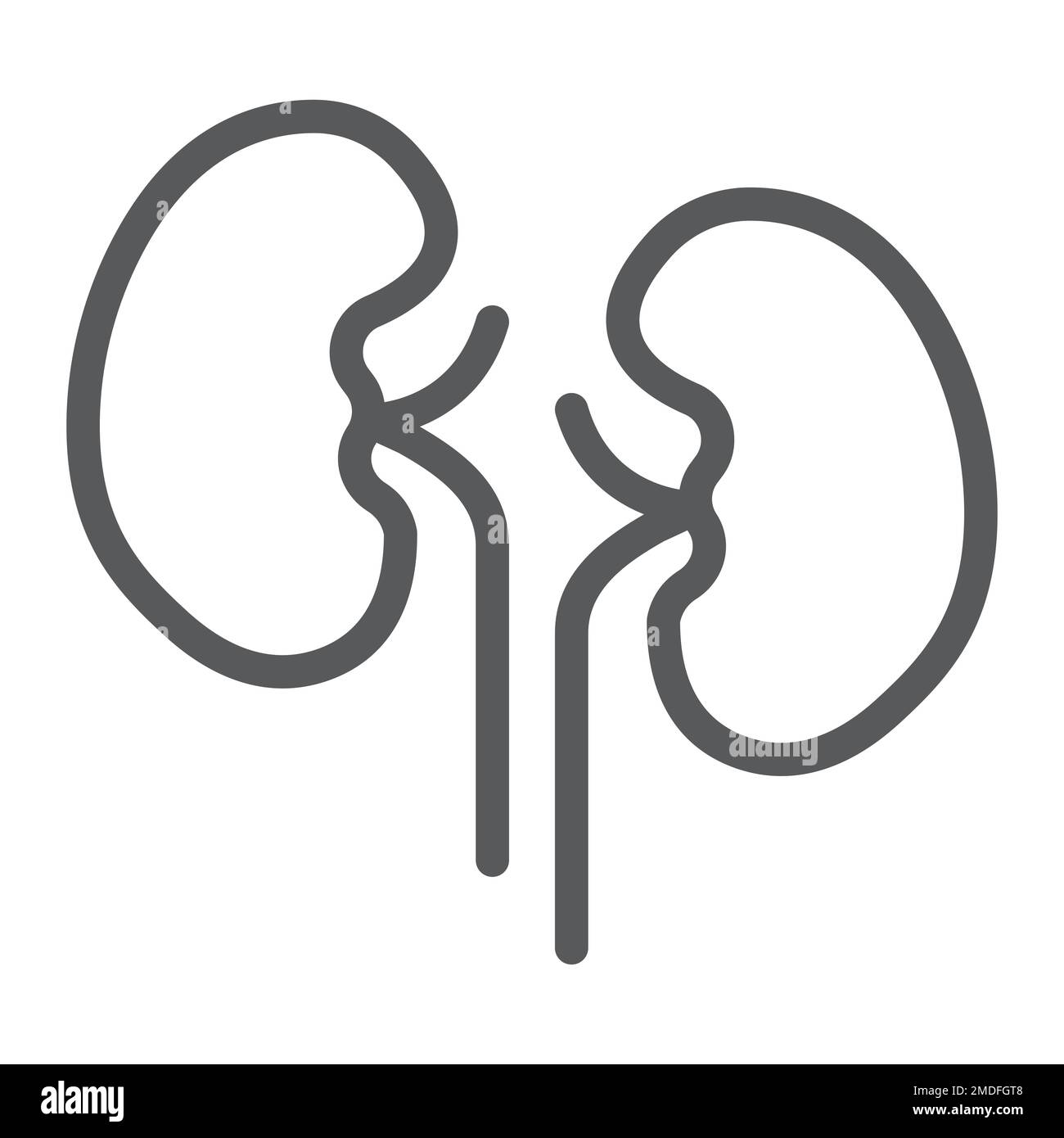 Kidney line icon, anatomy and biology, urology sign, vector graphics, a ...