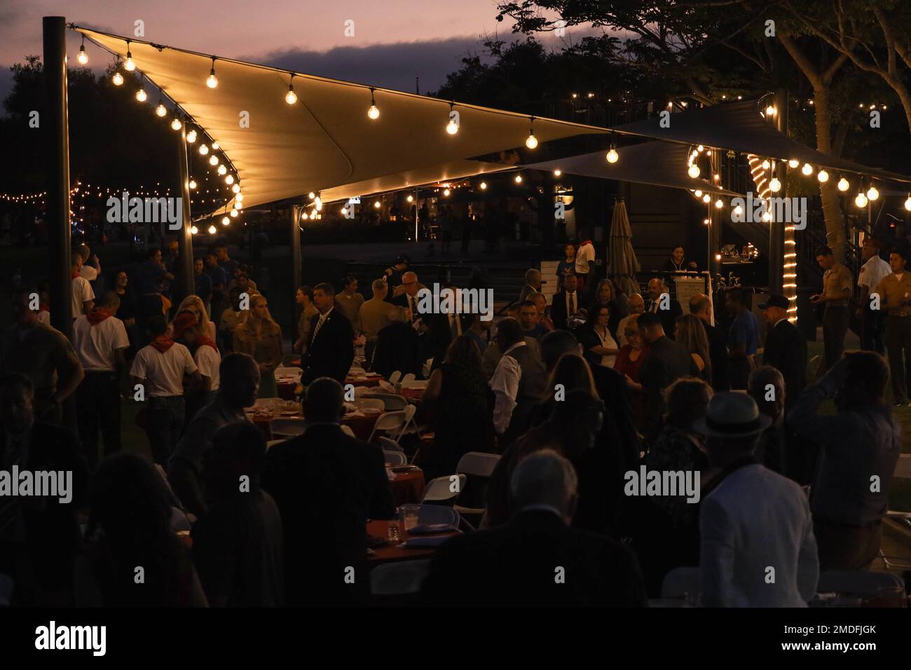 Devil pup program hi-res stock photography and images - Alamy