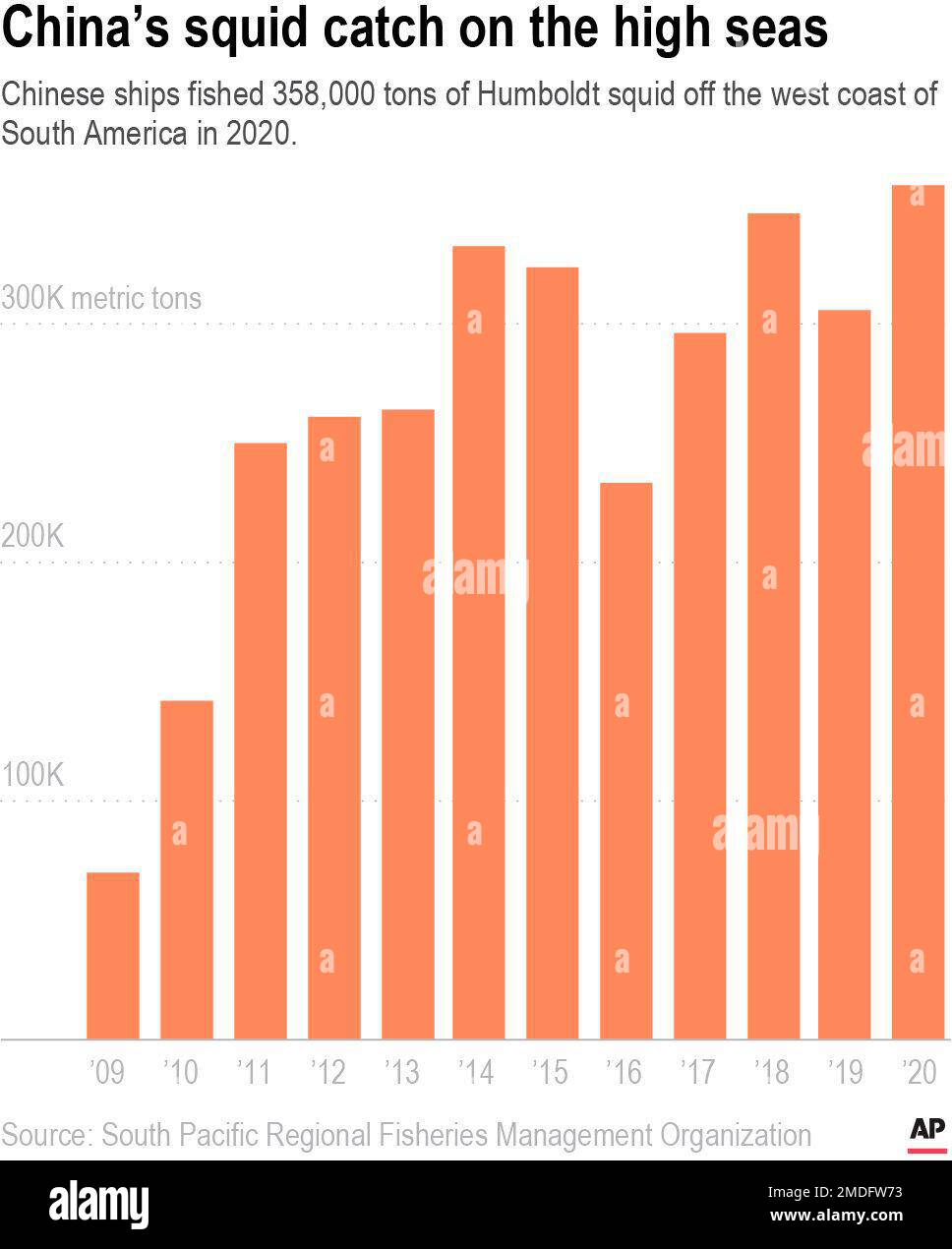 Chart shows the size of Humboldt squid catch of the overseas Chinese ...