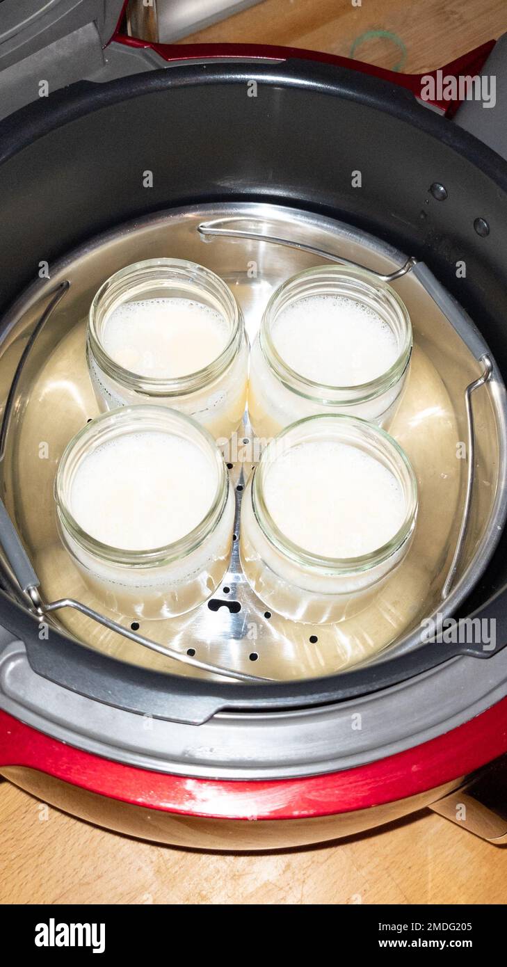homemade yogurts in the yogurt maker machine Stock Photo - Alamy