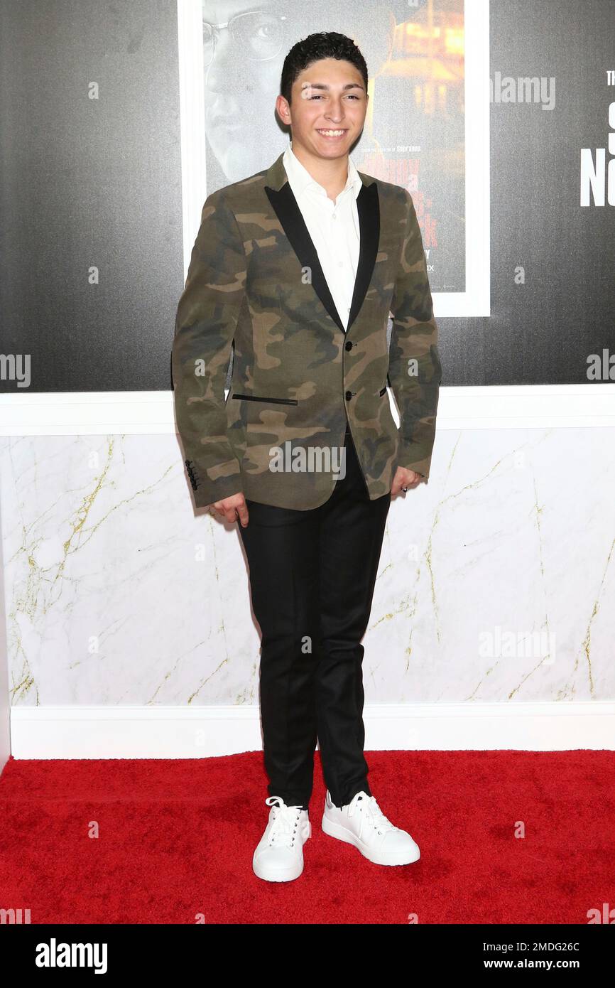 Matteo Russo attends the Tribeca Fall Preview premiere of "The Many ...