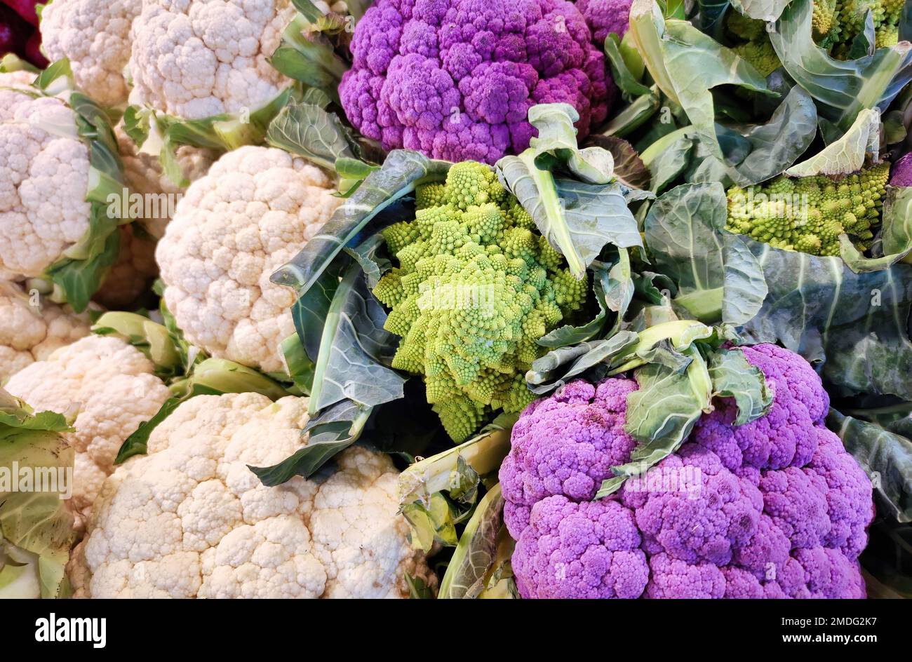 A selection of various types of cauliflower, including romanesco ...