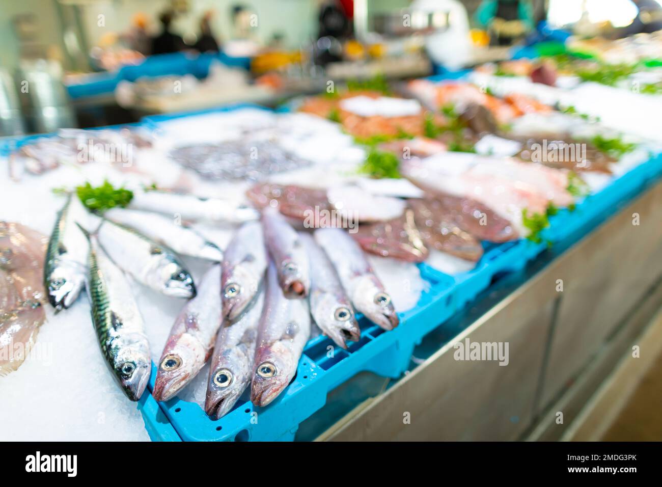 Palamos fish market (Llotja del peix de Palamós). Palamós, El Baix ...