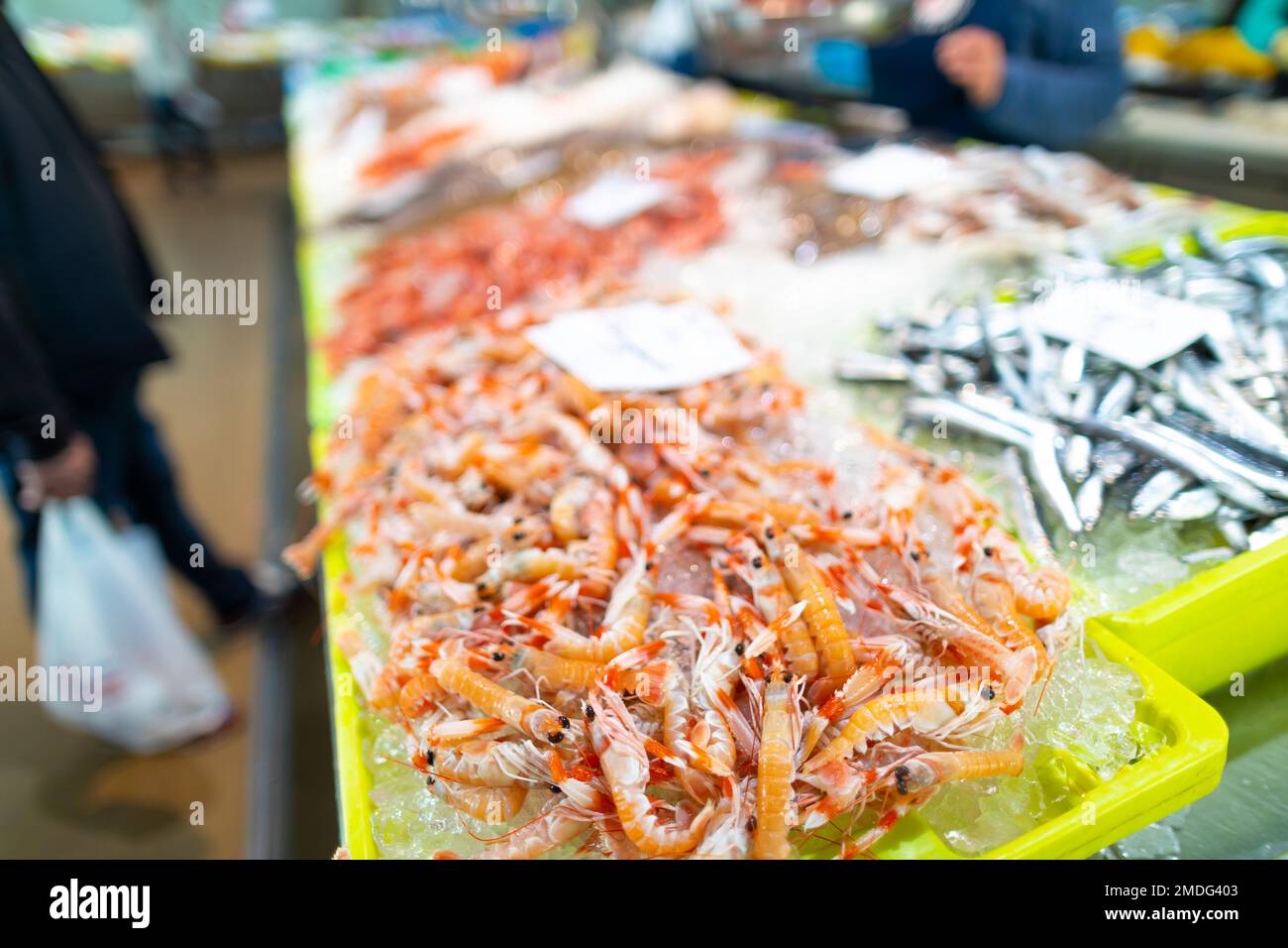 Palamos fish market (Llotja del peix de Palamós). Palamós, El Baix ...