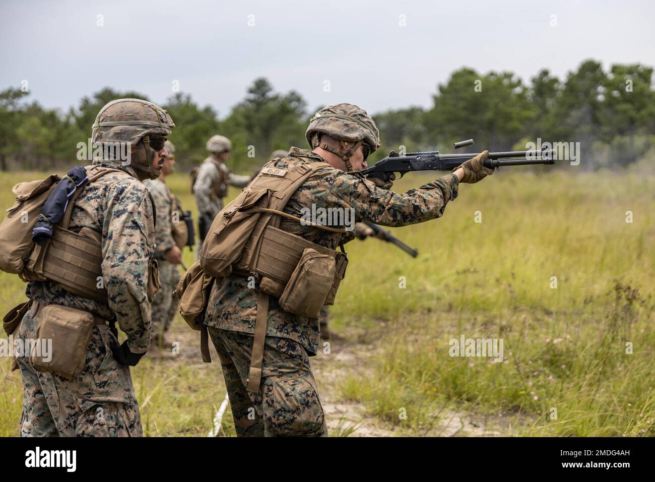 U.S. Marine Corps Pfc. John Wilczek, a combat engineer with 8th ...