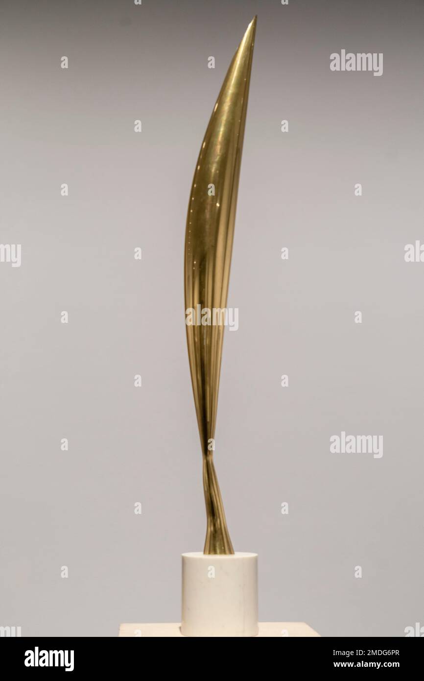 Constantin brancusi bird in space hi-res stock photography and images ...