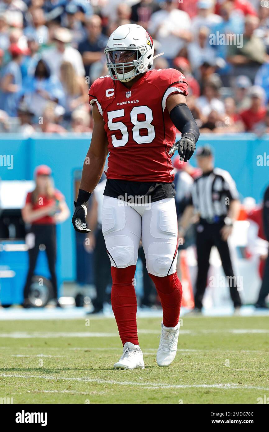 Arizona Cardinals middle linebacker Jordan Hicks #58 during an NFL ...