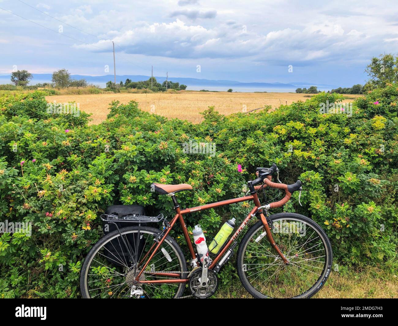 A bicycle rests against a hedge by the St. Lawrence River on Route ...