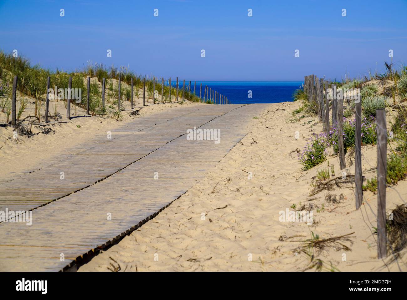 Gateway wooden to access beach for helping disabled in le porge beach ...