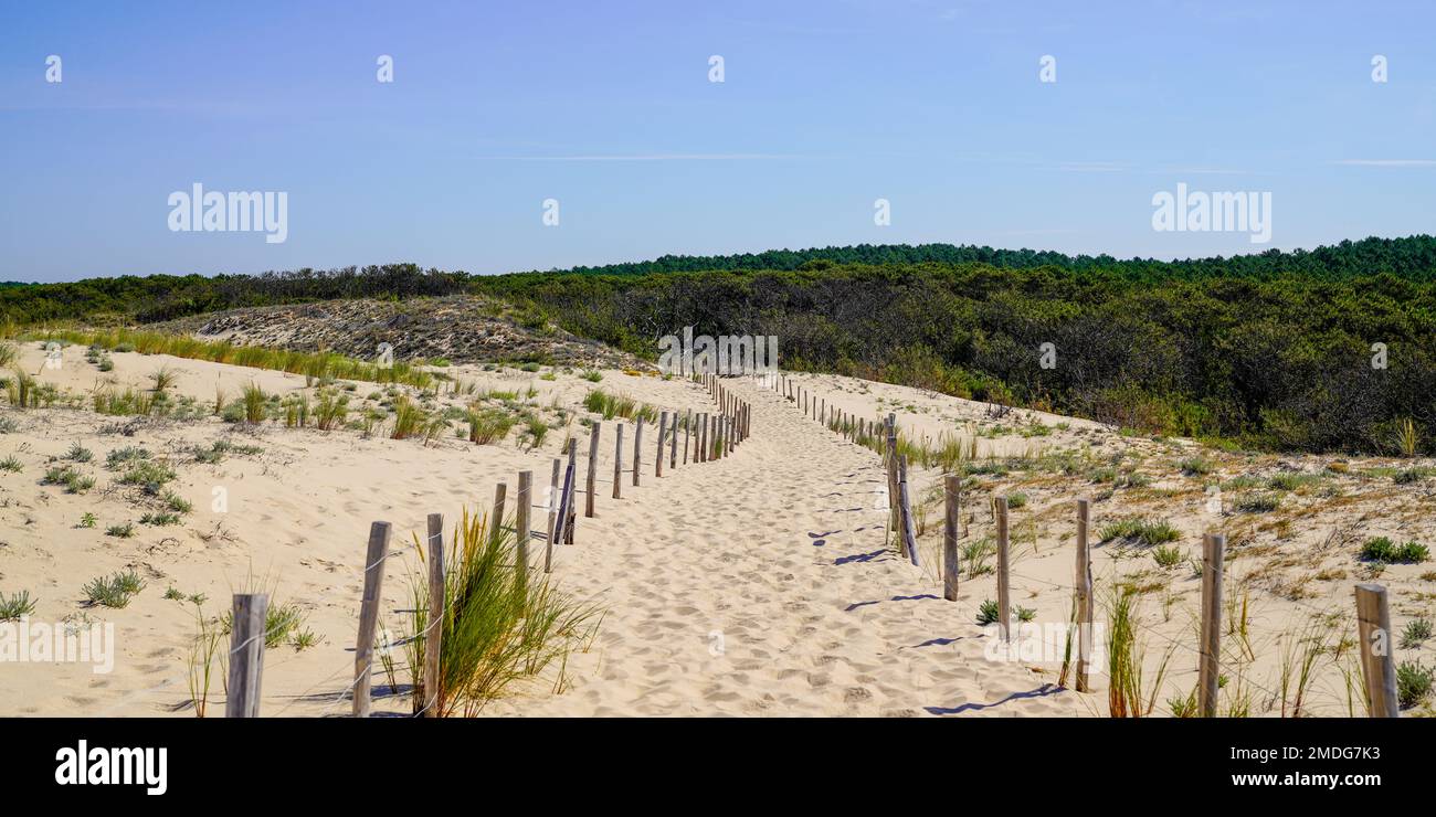 sand access path fence beach entrance panorama to the atlantic sea in ...