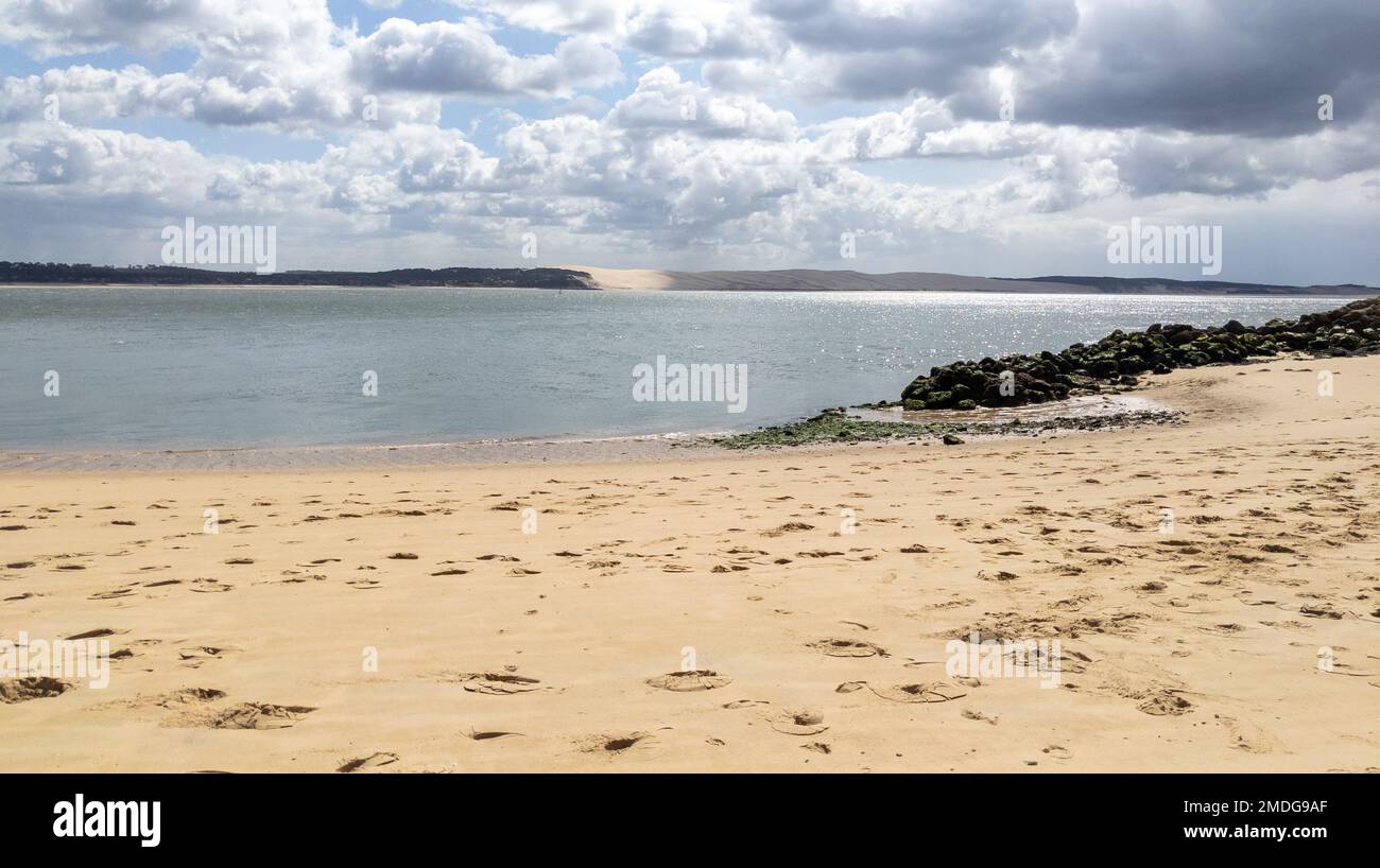 landscape pyla dune on Atlantic beach in sand dunes fence in lege Cap ...