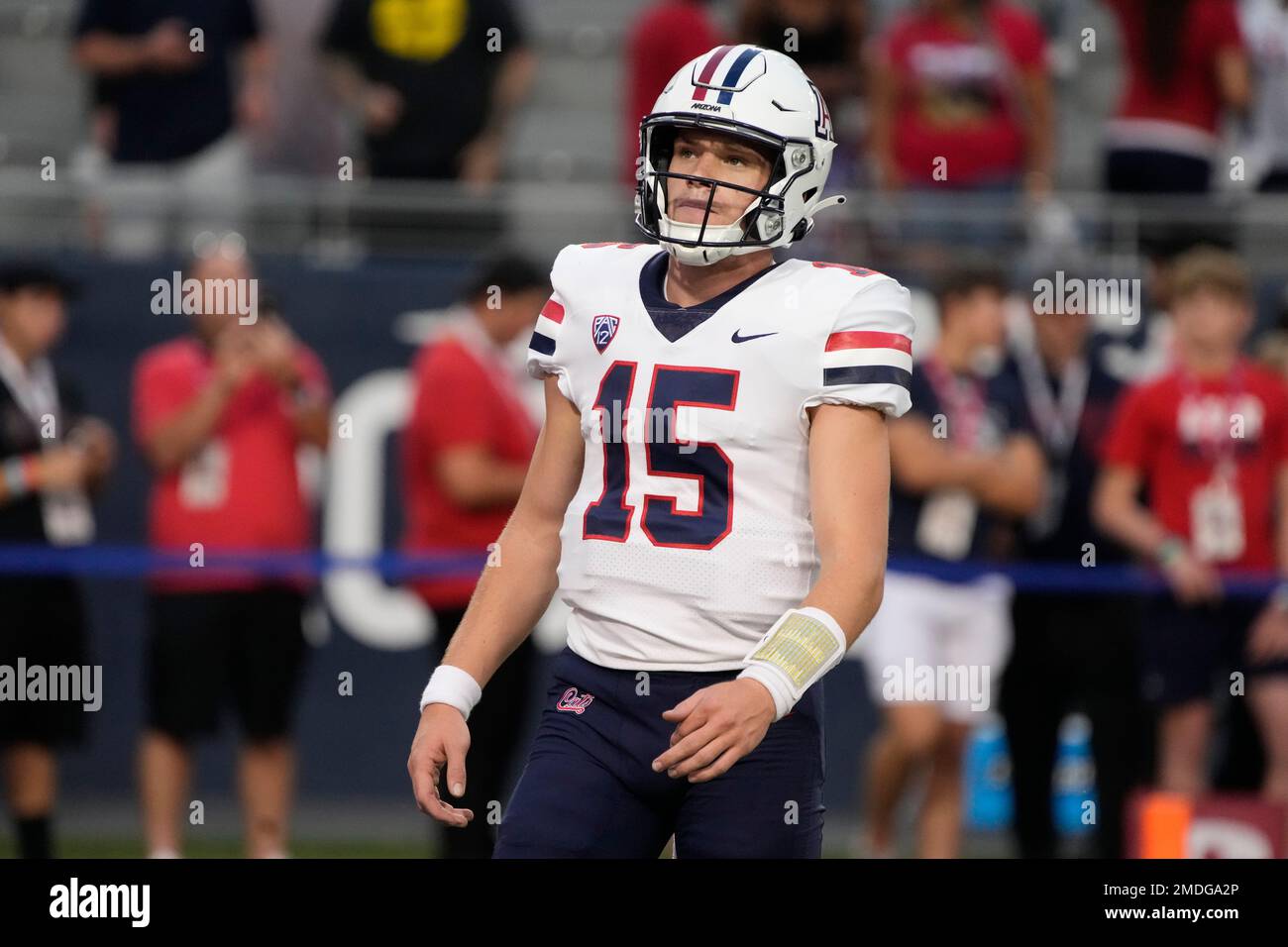 Arizona quarterback Will Plummer (15) in the first half during an NCAA ...