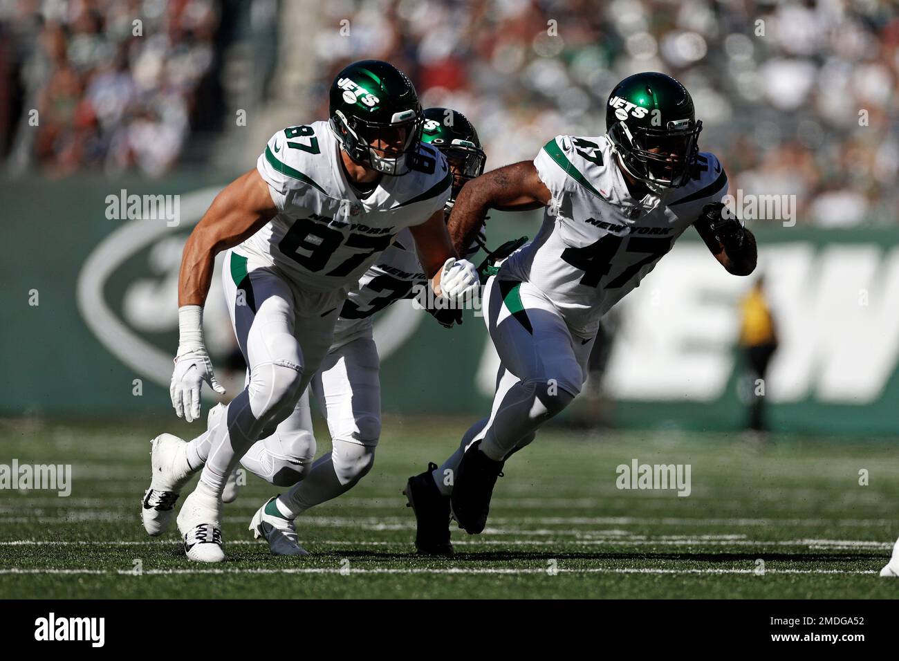 New York Jets tight end Daniel Brown (87) and defensive end Bryce Huff ...