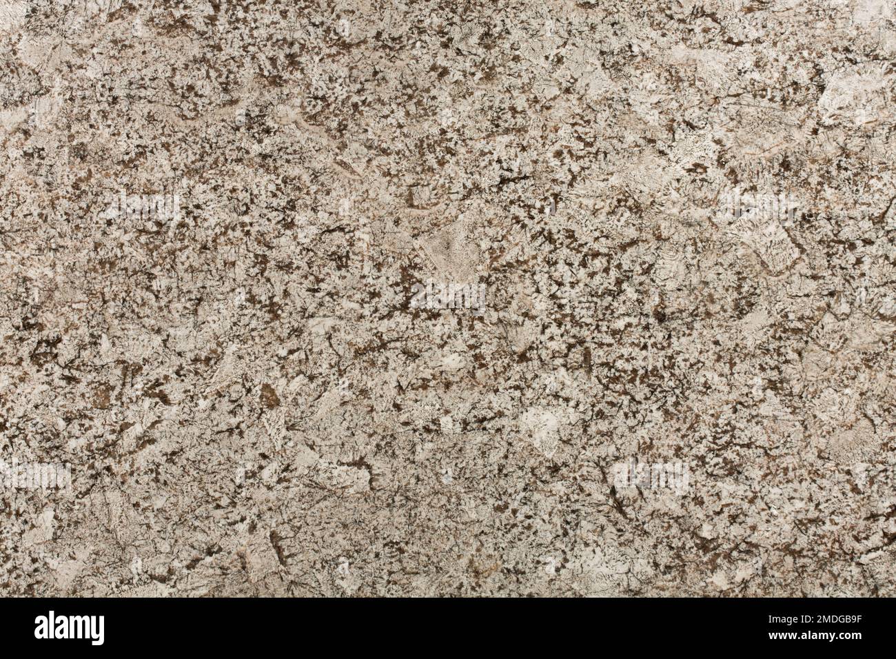 Splendor gold - granite background, texture in light color for your ...