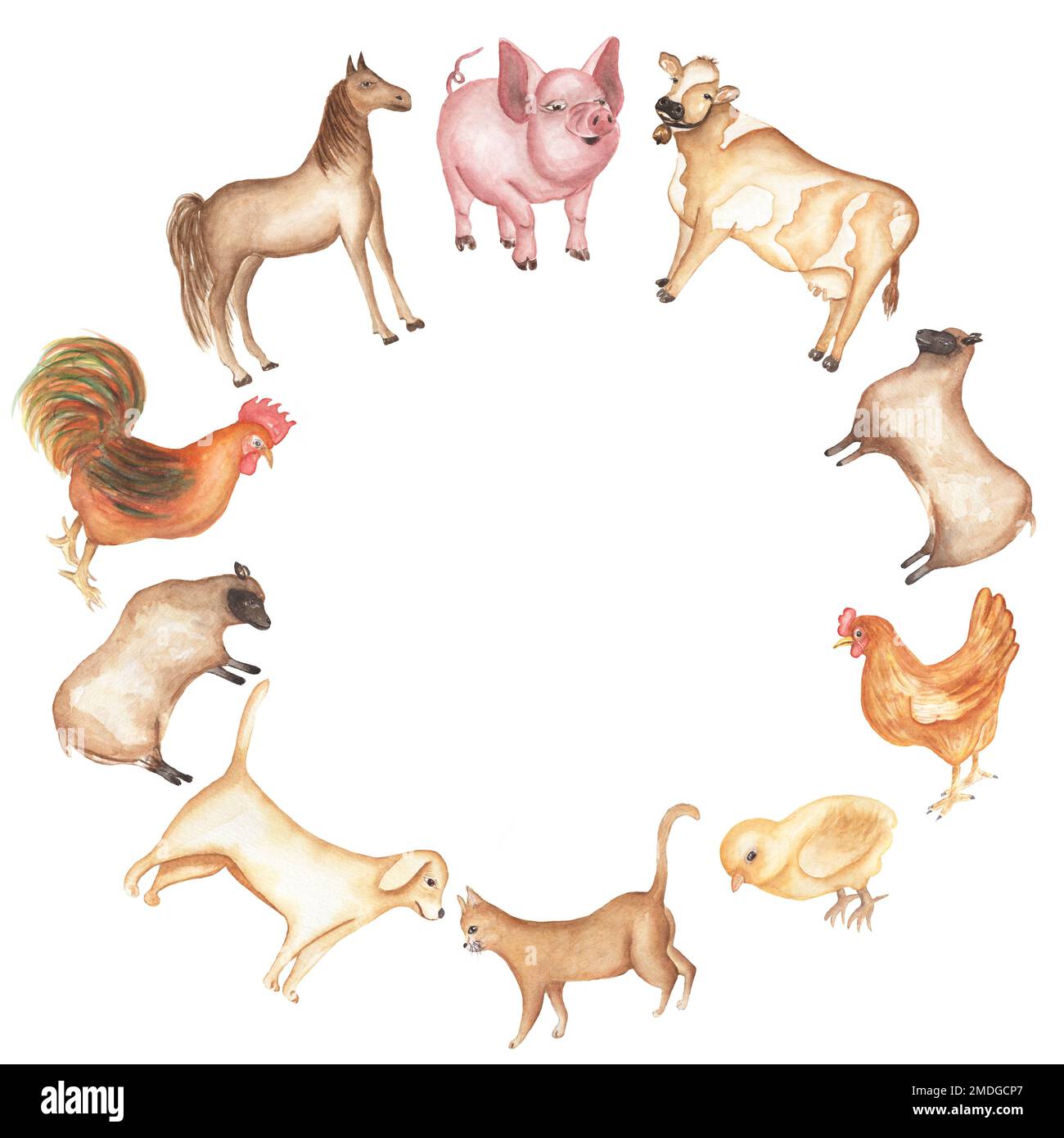 Farm animal composition cow Cut Out Stock Images & Pictures - Alamy