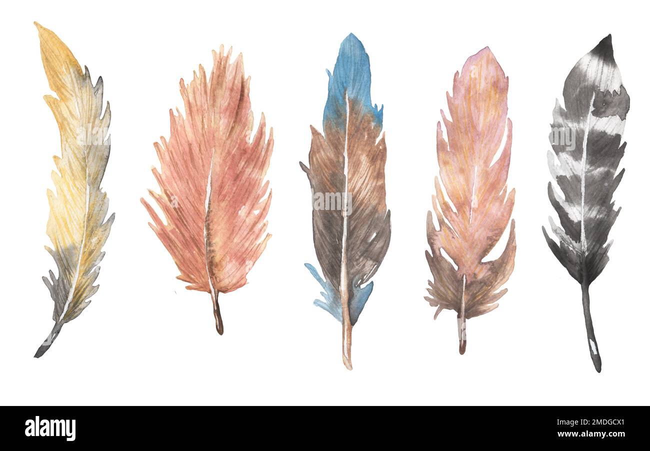 Watercolor boho feathers illustration set from wing. Wild bird fly ...