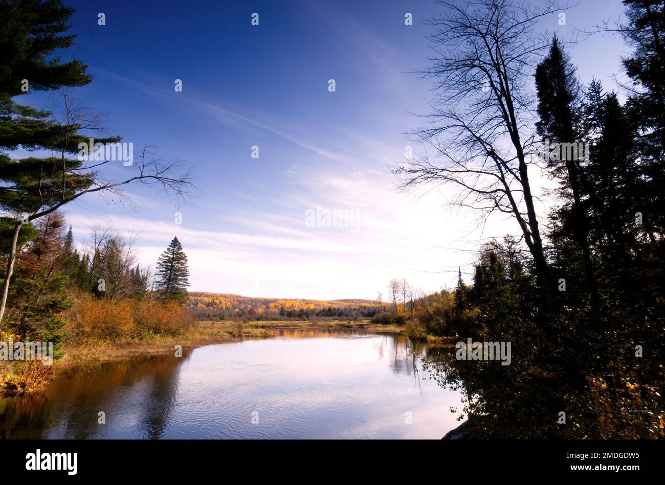 A scenic view of a small lake in an autumnal forest under blue sky on a ...