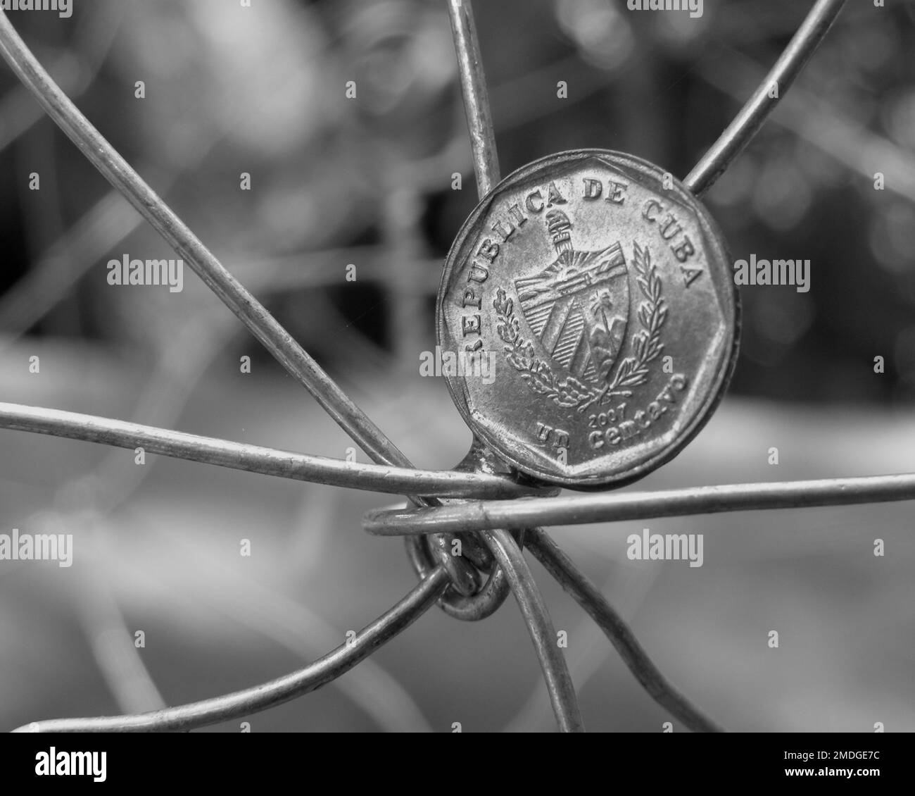 A grayscale a Cuban centavo on metal wires Stock Photo - Alamy