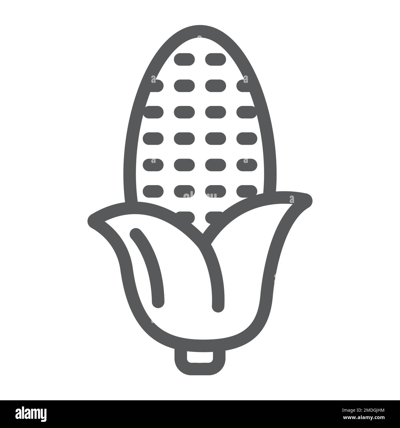 Corn line icon, corncob and vegetable, plant sign, vector graphics, a ...