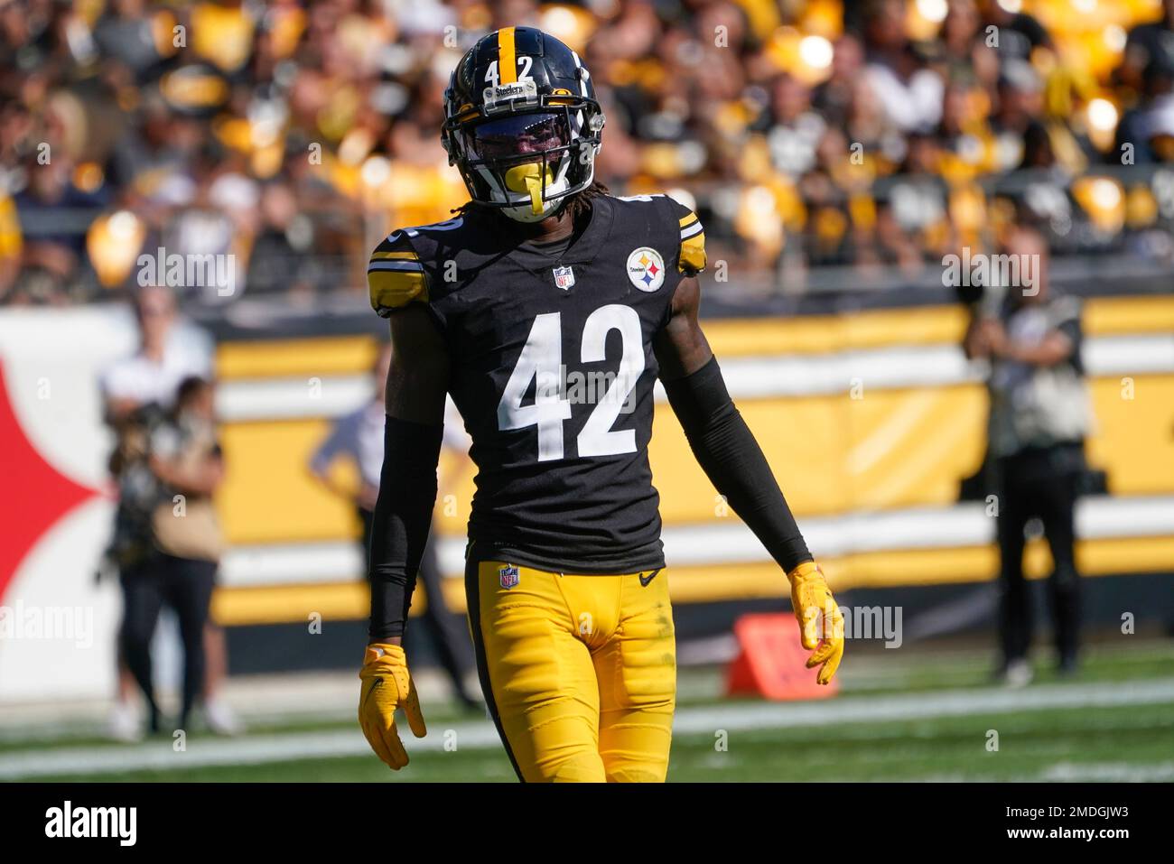 Pittsburgh Steelers cornerback James Pierre (42) plays against the Las ...