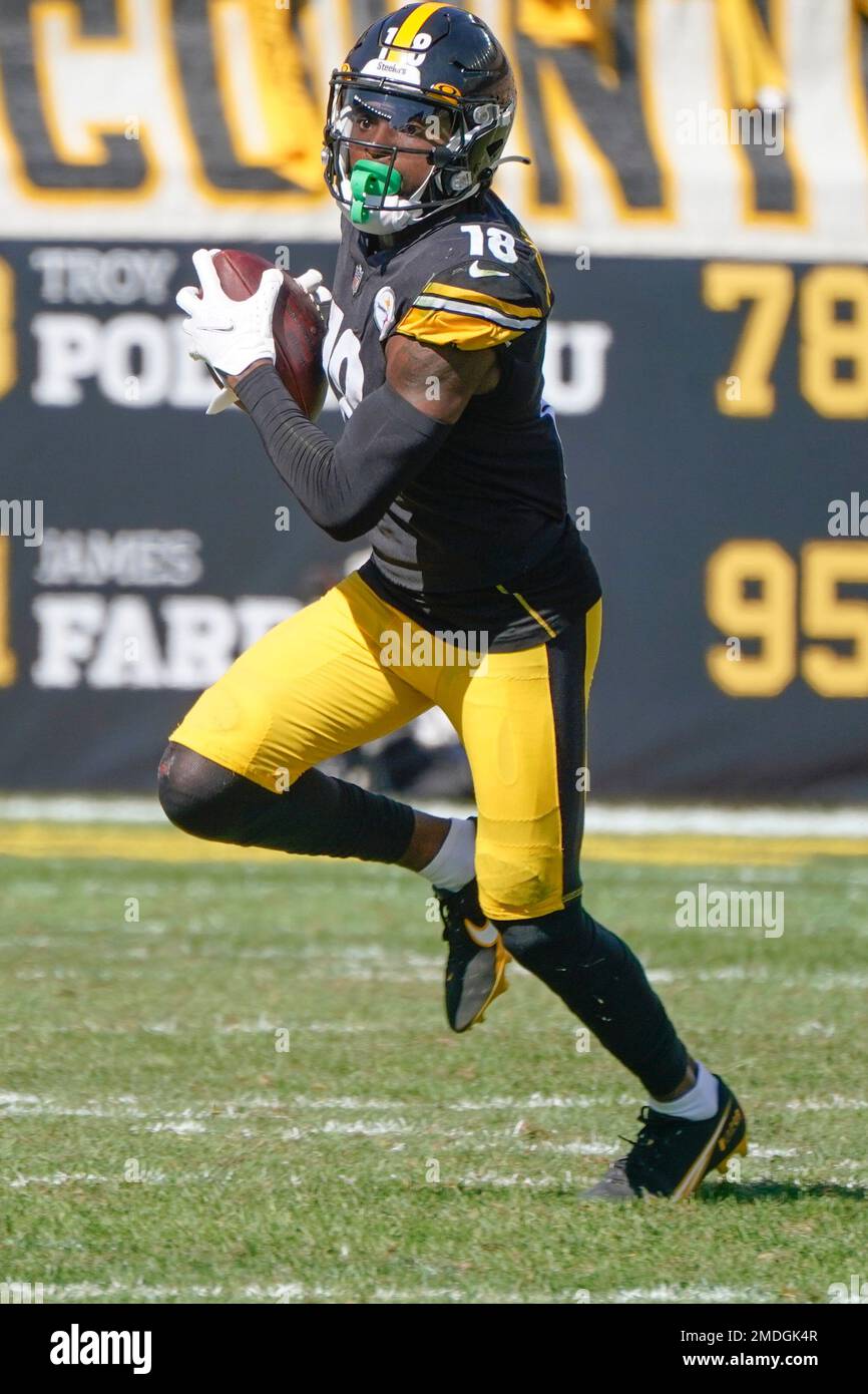 Pittsburgh Steelers wide receiver Diontae Johnson (18) plays against ...