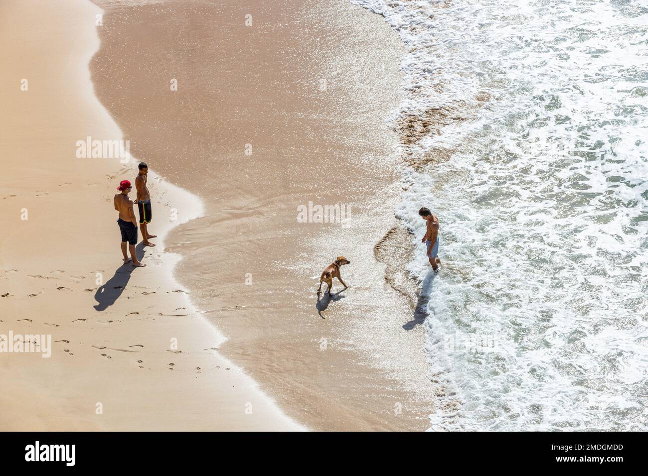Three people and a dog playing on the beach in Cotillo, Fuerteventura ...