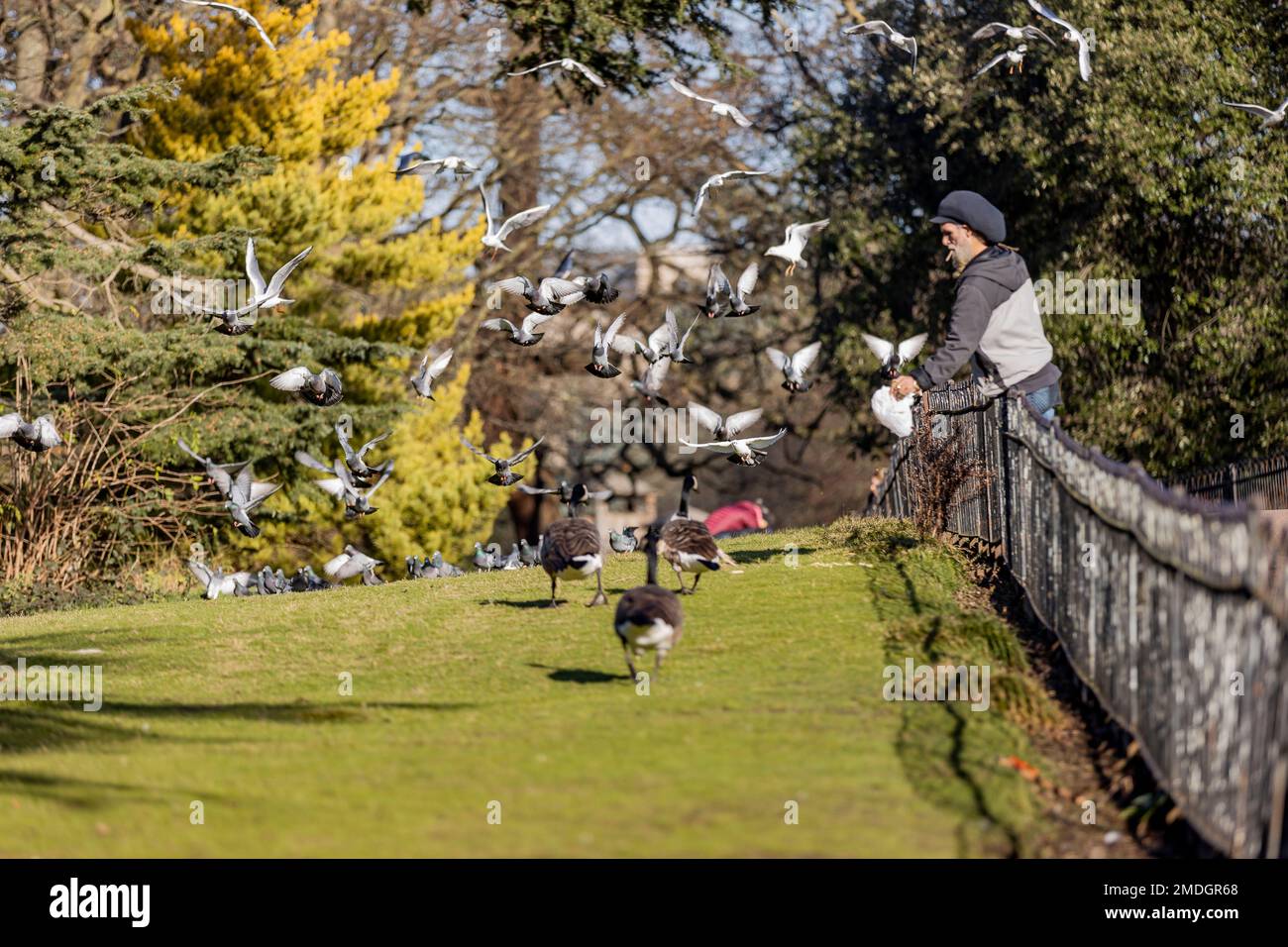 Acton Vale, Local Area Shoot Stock Photo - Alamy
