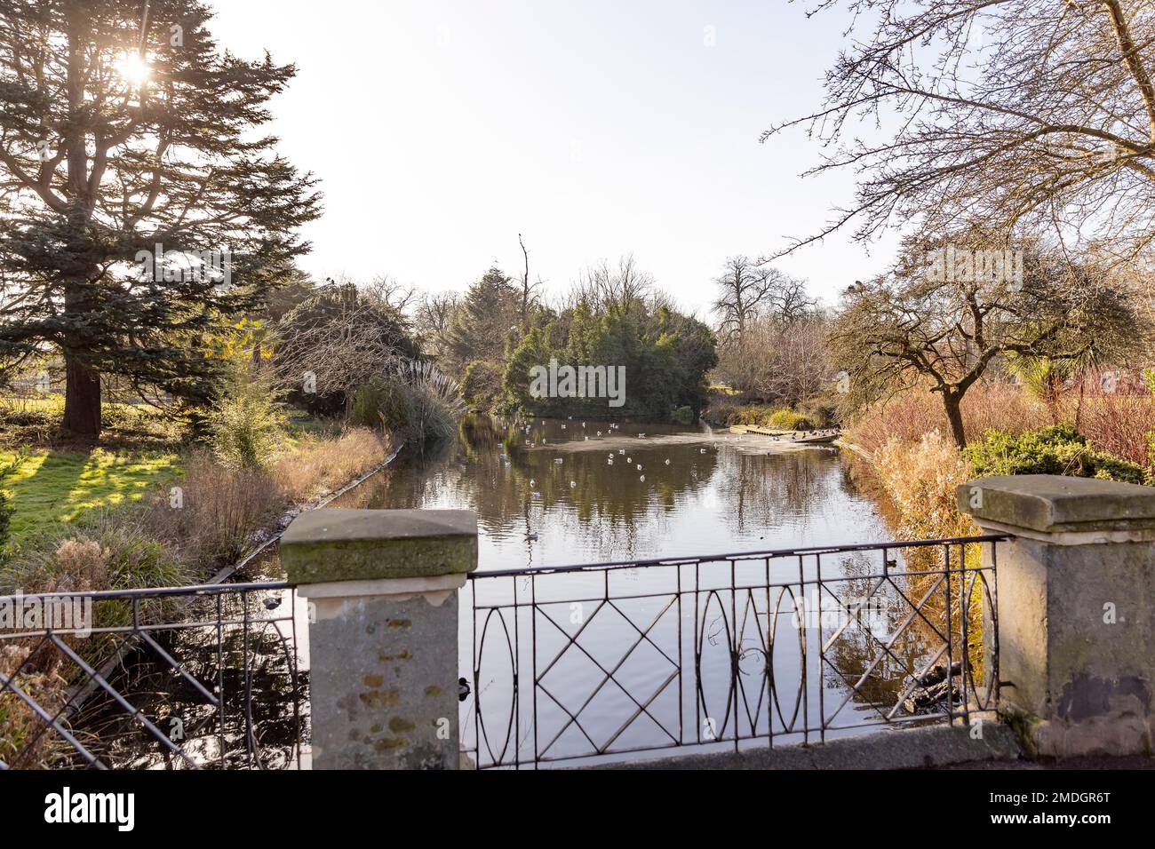 Acton Vale, Local Area Shoot Stock Photo - Alamy