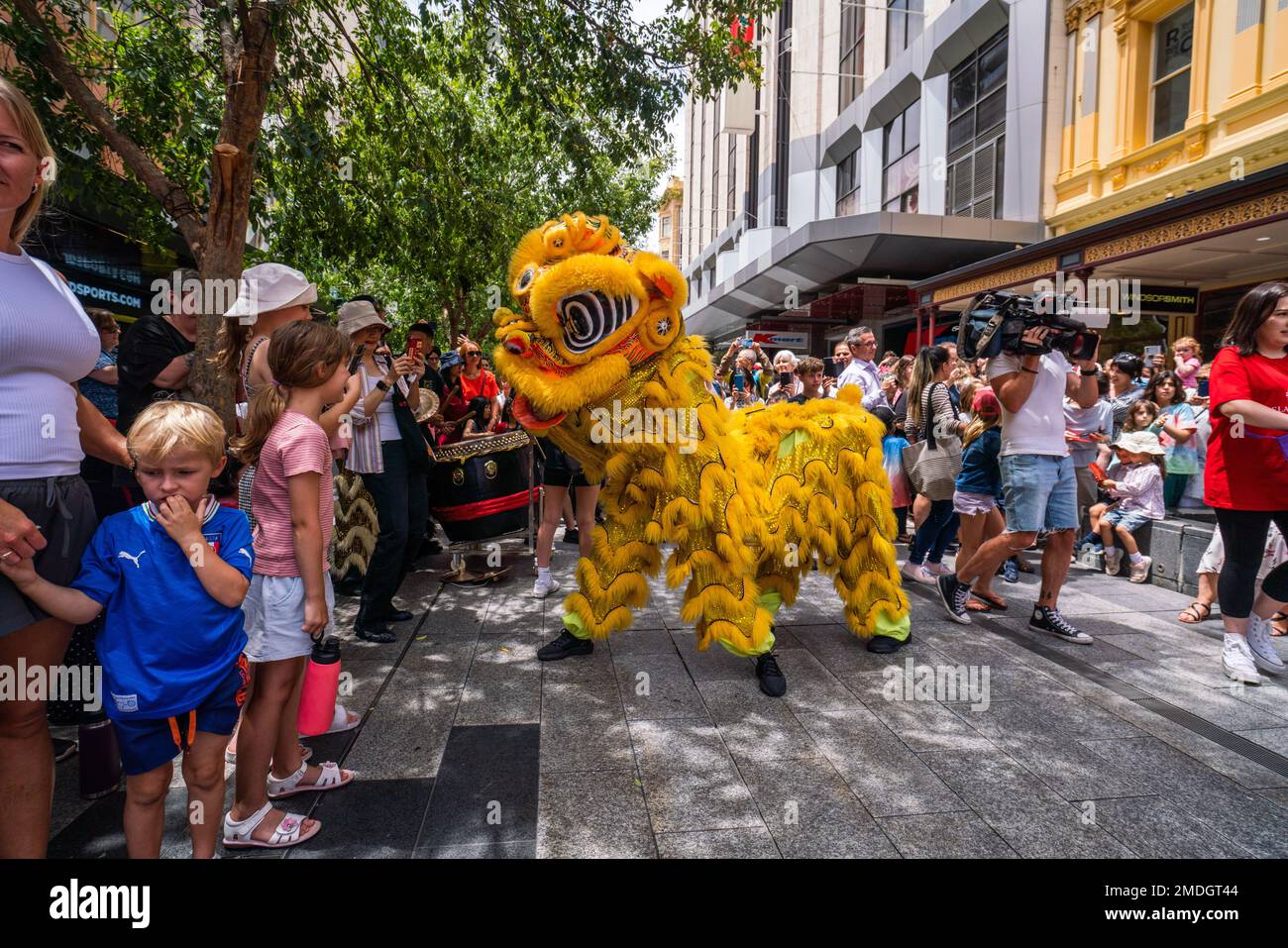 Adelaide, Australia. 23 January 2023 Lion dancers perform in front of ...