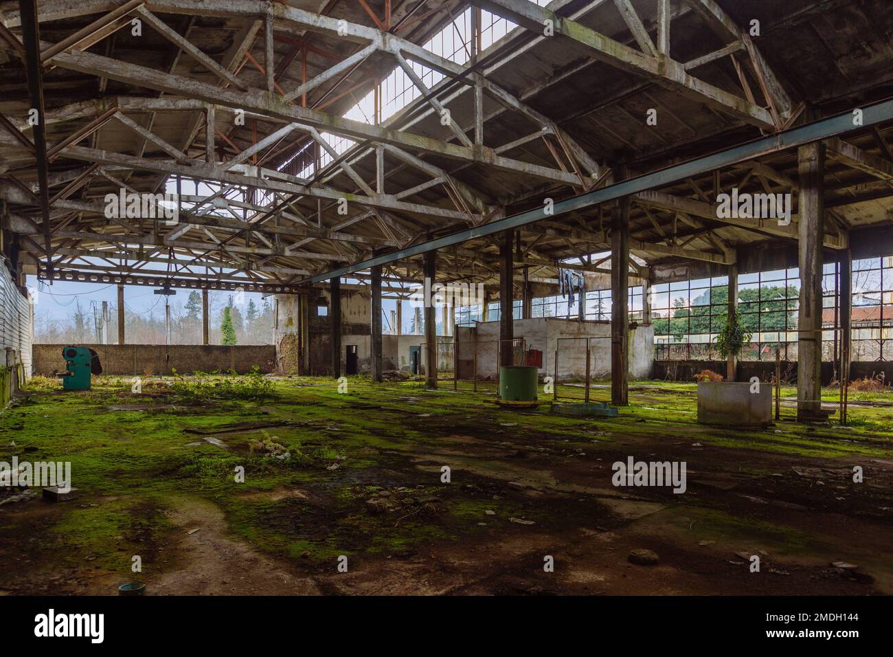 Old ruined industrial building overgrown by green moss and plants Stock ...