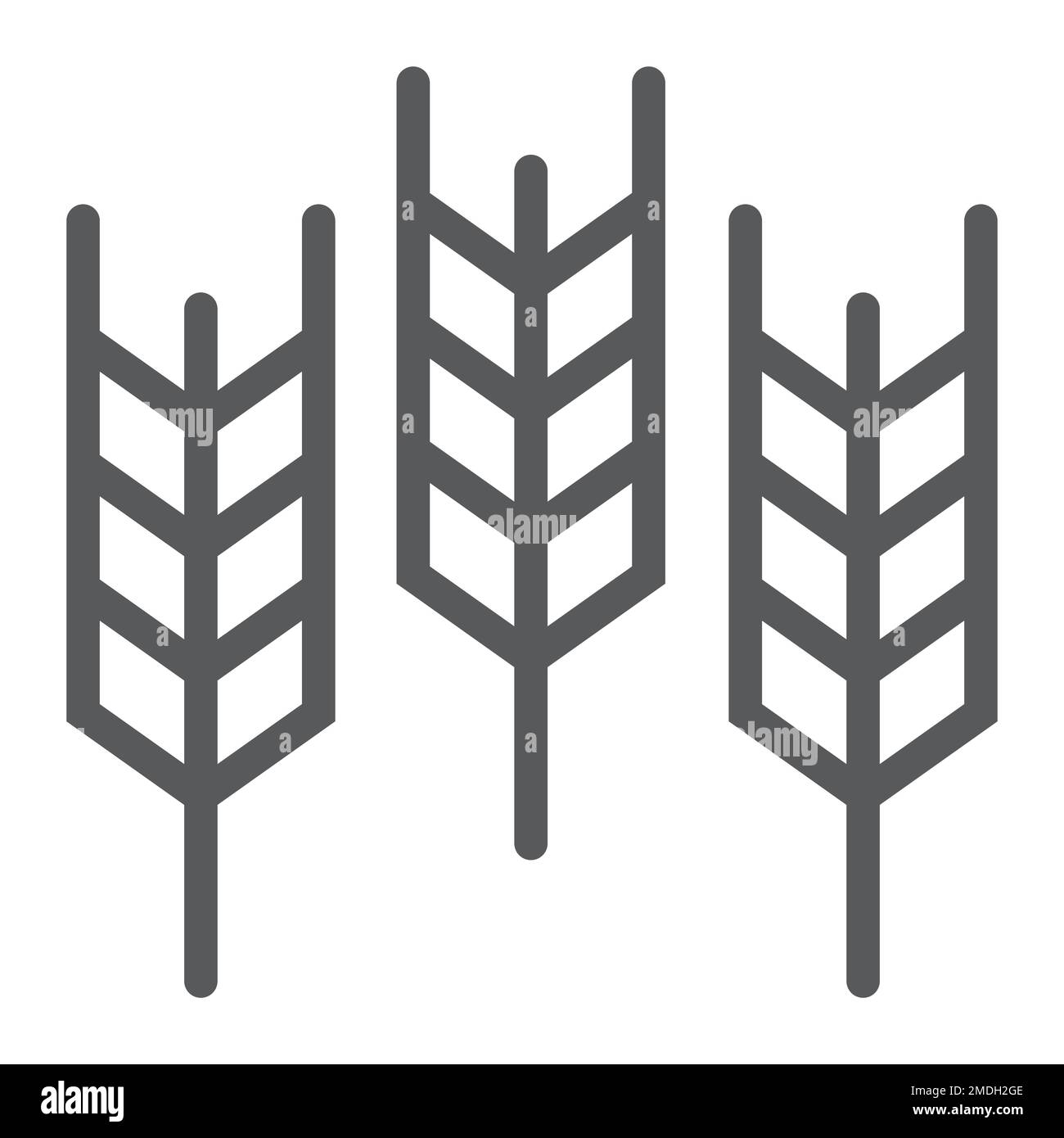 Wheat line icon, grain and gluten, bread sign, vector graphics, a ...