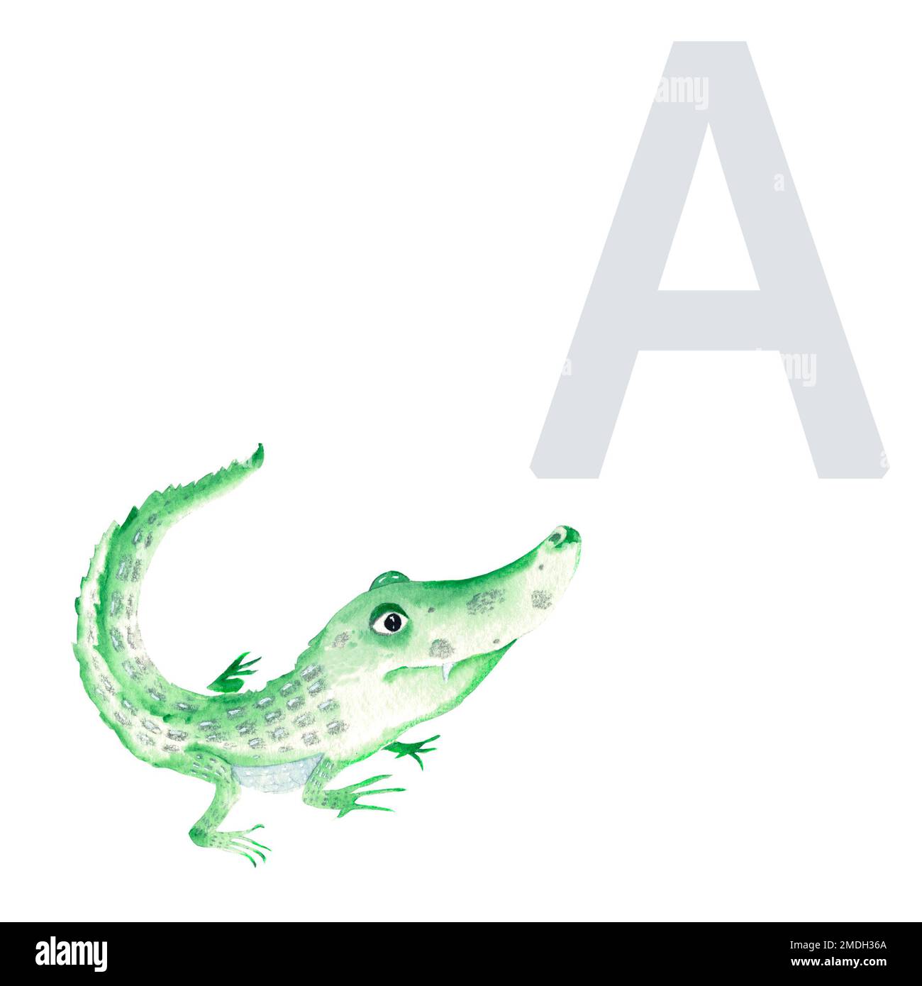 Letter A, uppercase, alligator, cute kids colorful animals ABC alphabet ...