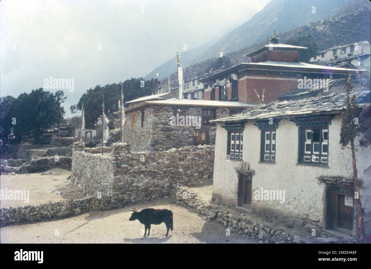 Slopping roof houses hi-res stock photography and images - Alamy