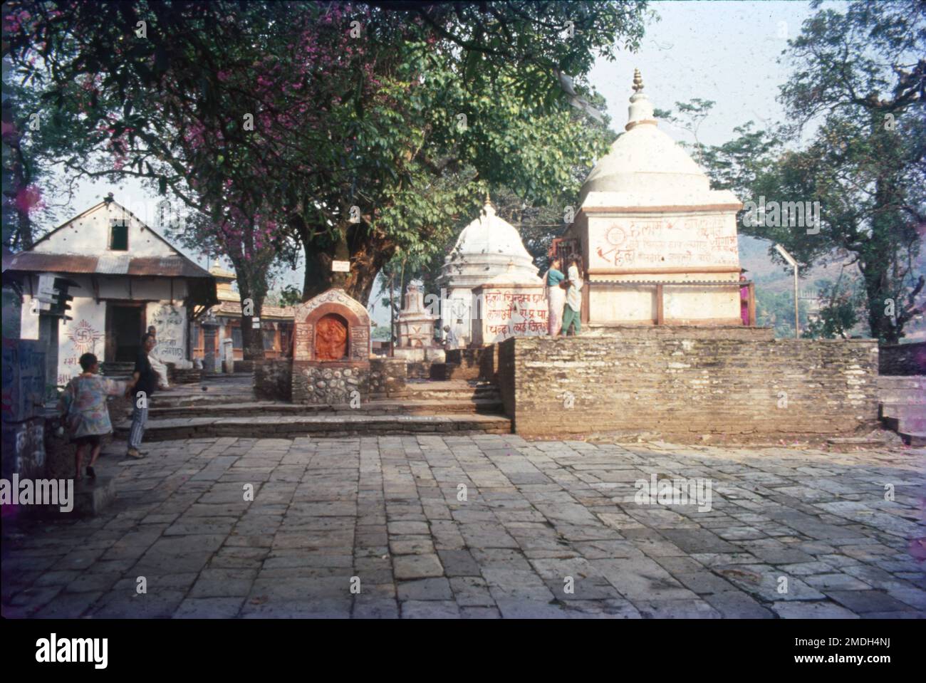 Shree Gaden Dhargay Ling Monastery is a Tibetan Buddhist Monastery ...