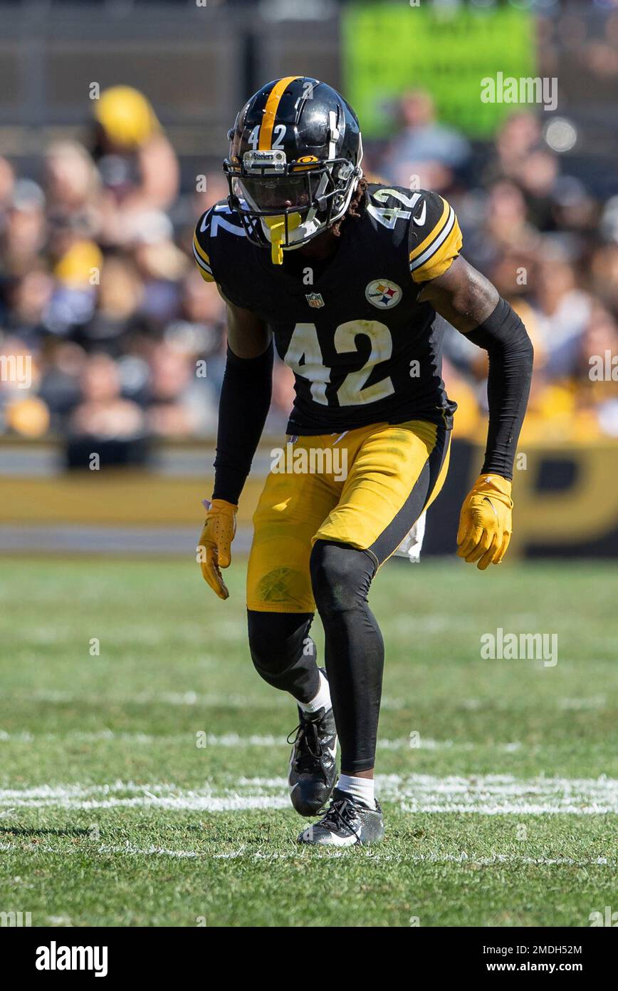 Pittsburgh Steelers cornerback James Pierre (42) defends during an NFL ...