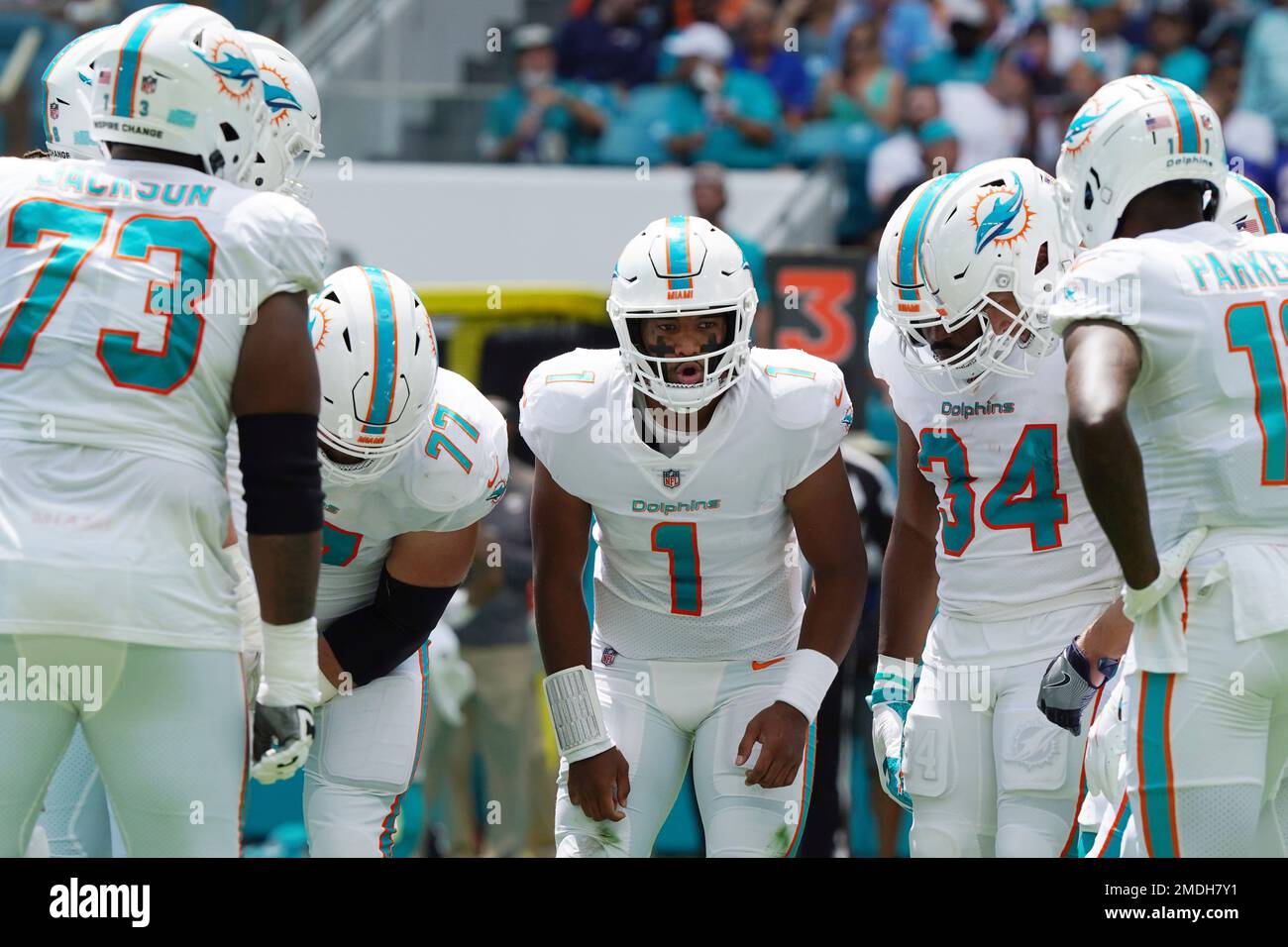 Miami Dolphins quarterback Tua Tagovailoa (1) huddles with the ...