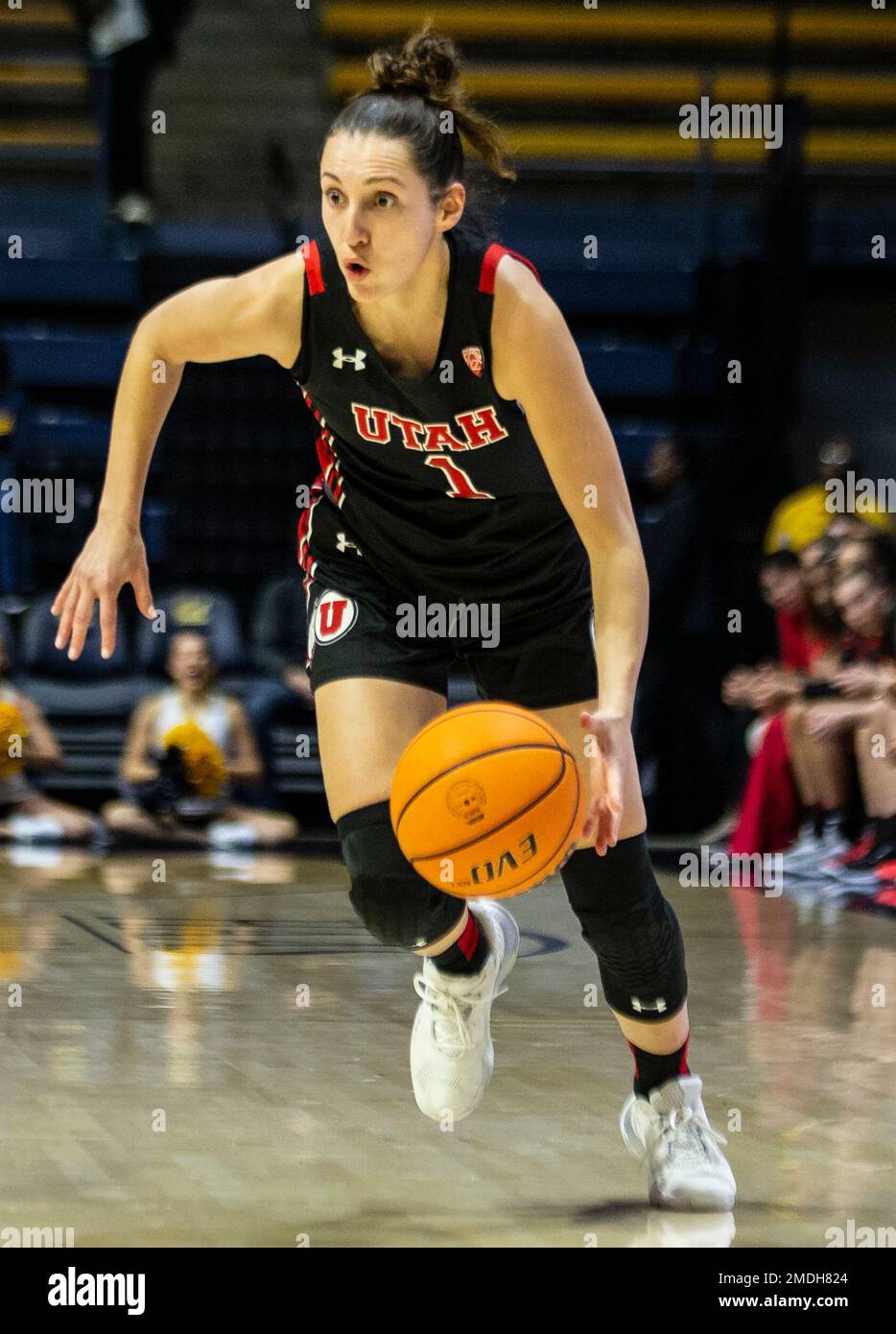 2023 0003 jpg hi-res stock photography and images - Alamy