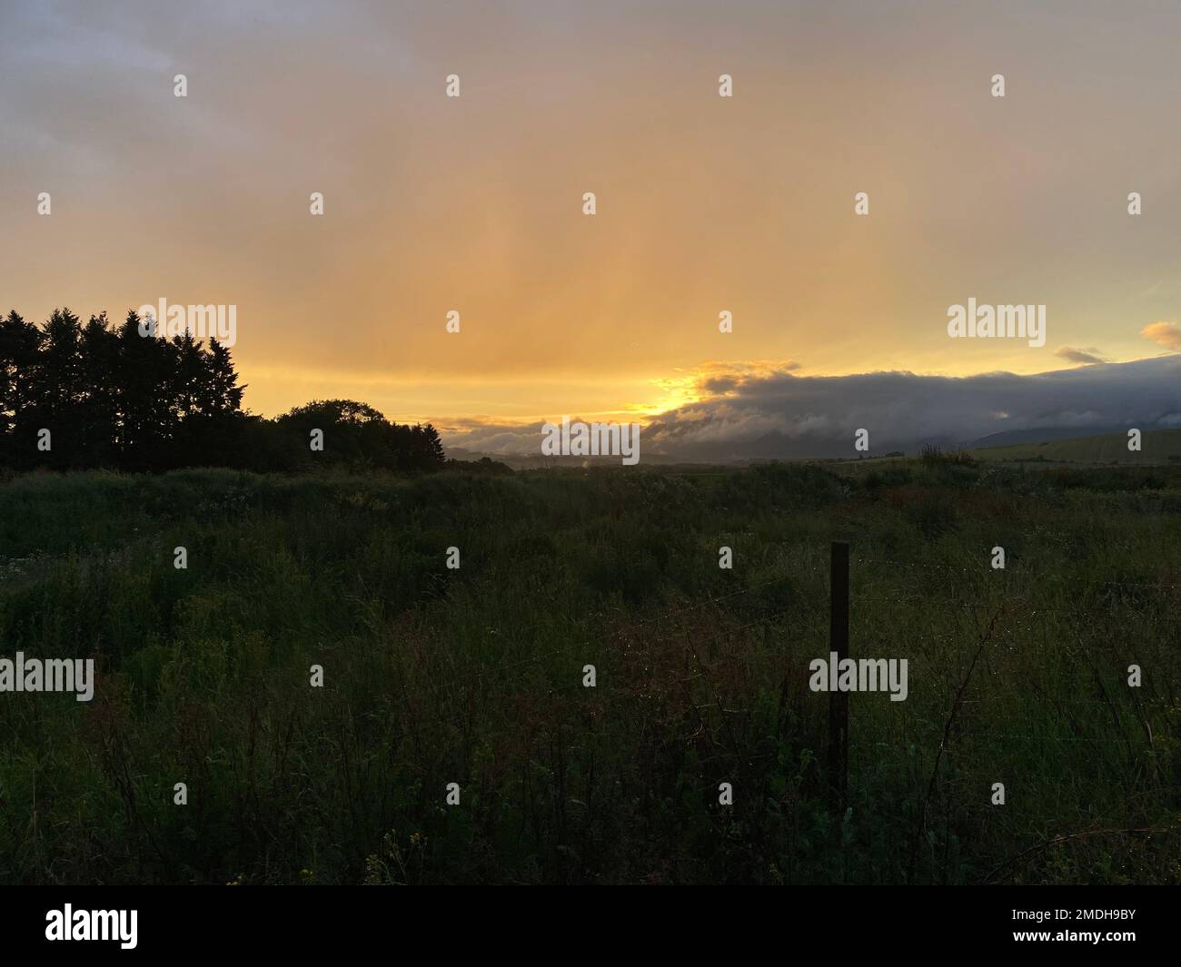A beautiful view of a field during sunset Stock Photo - Alamy