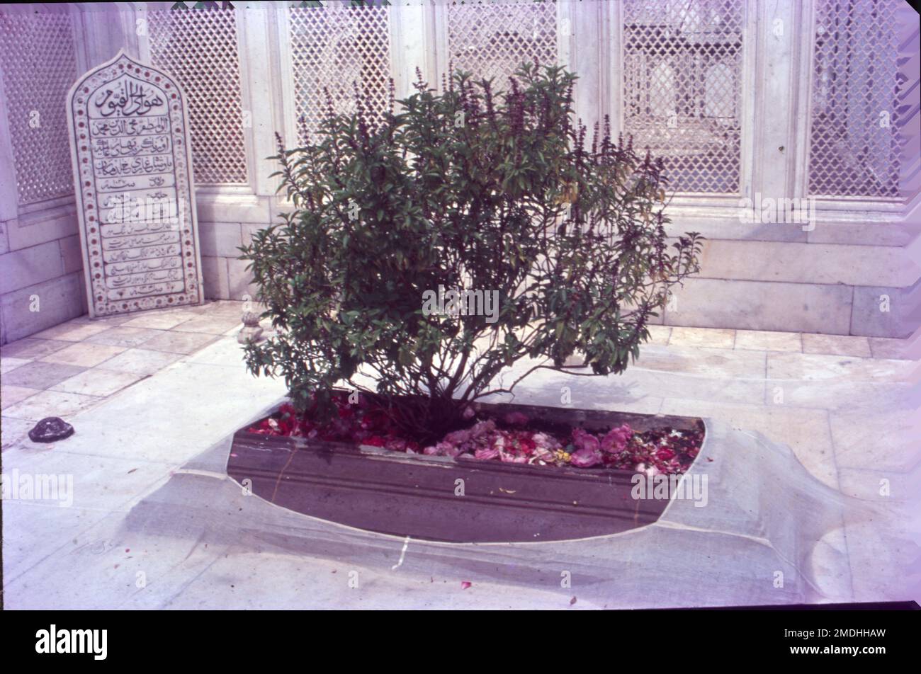 Aurangzeb mughal emperor hi-res stock photography and images - Alamy