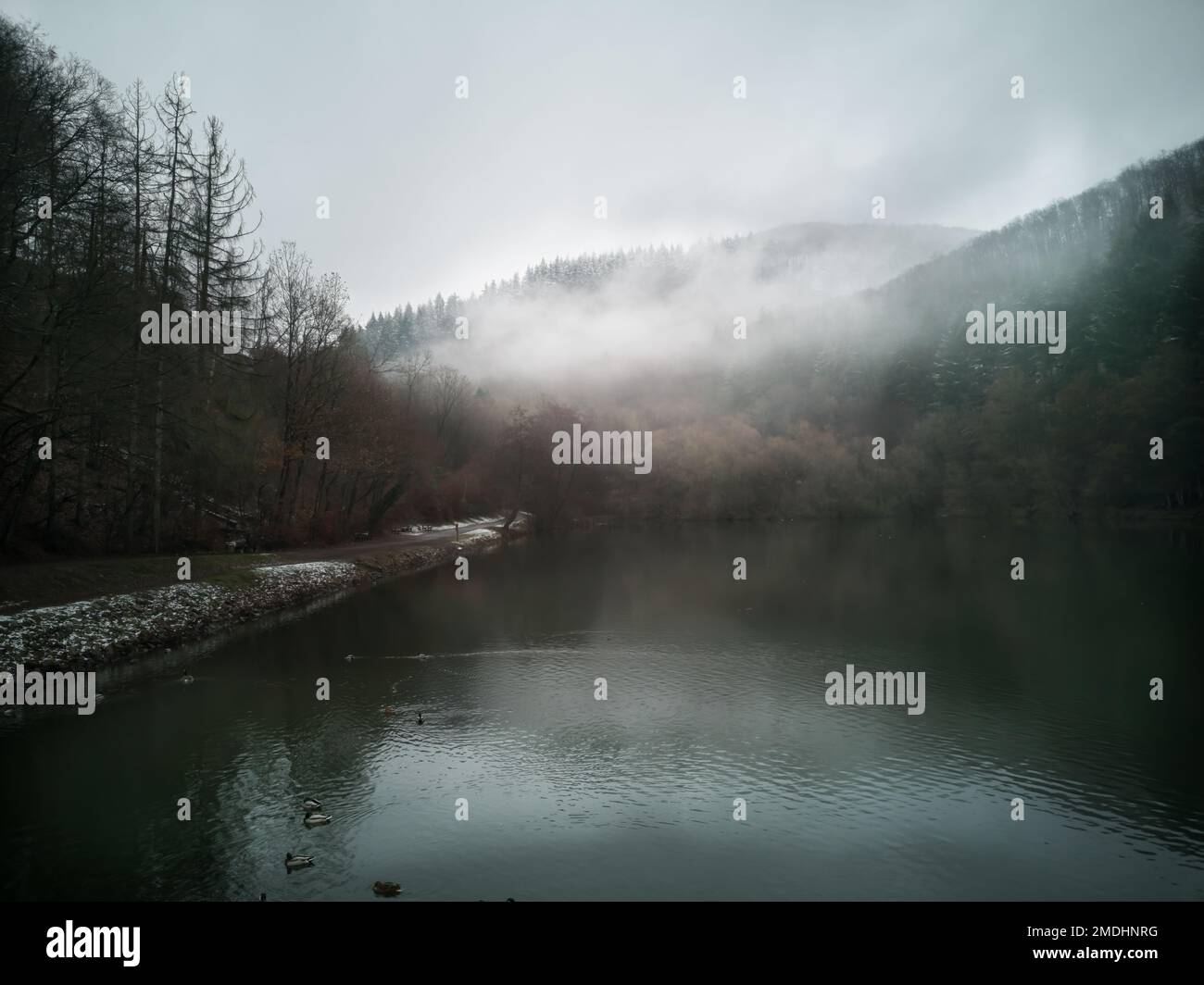Fog over a lake in a forest with little parts of snow and cloudy sky ...