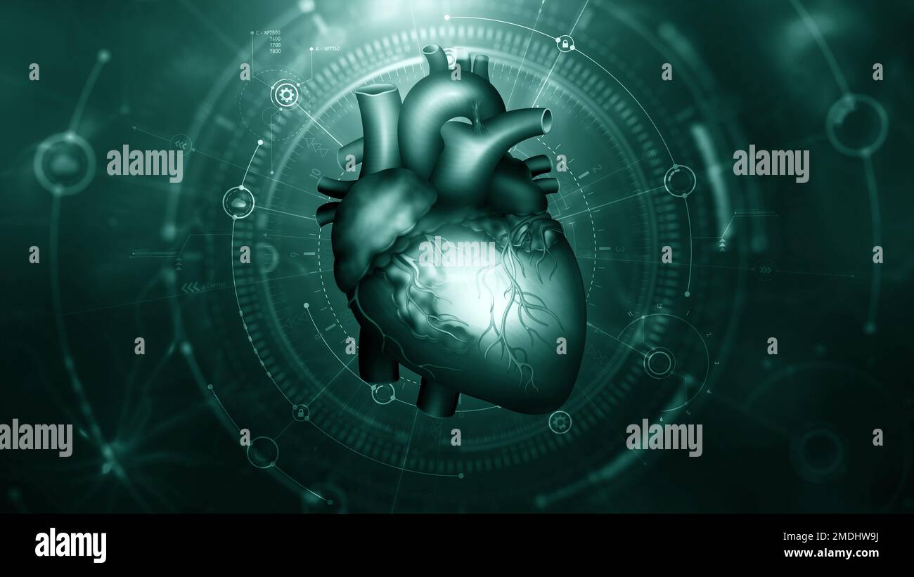 Human heart. Digital technologies in medicine and scientific research ...